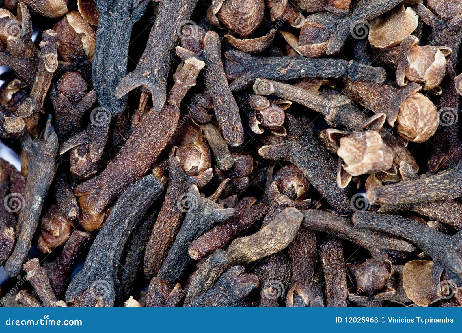 Clove stock image. Image of texture, spice, spicy, medicinal - 12025963
