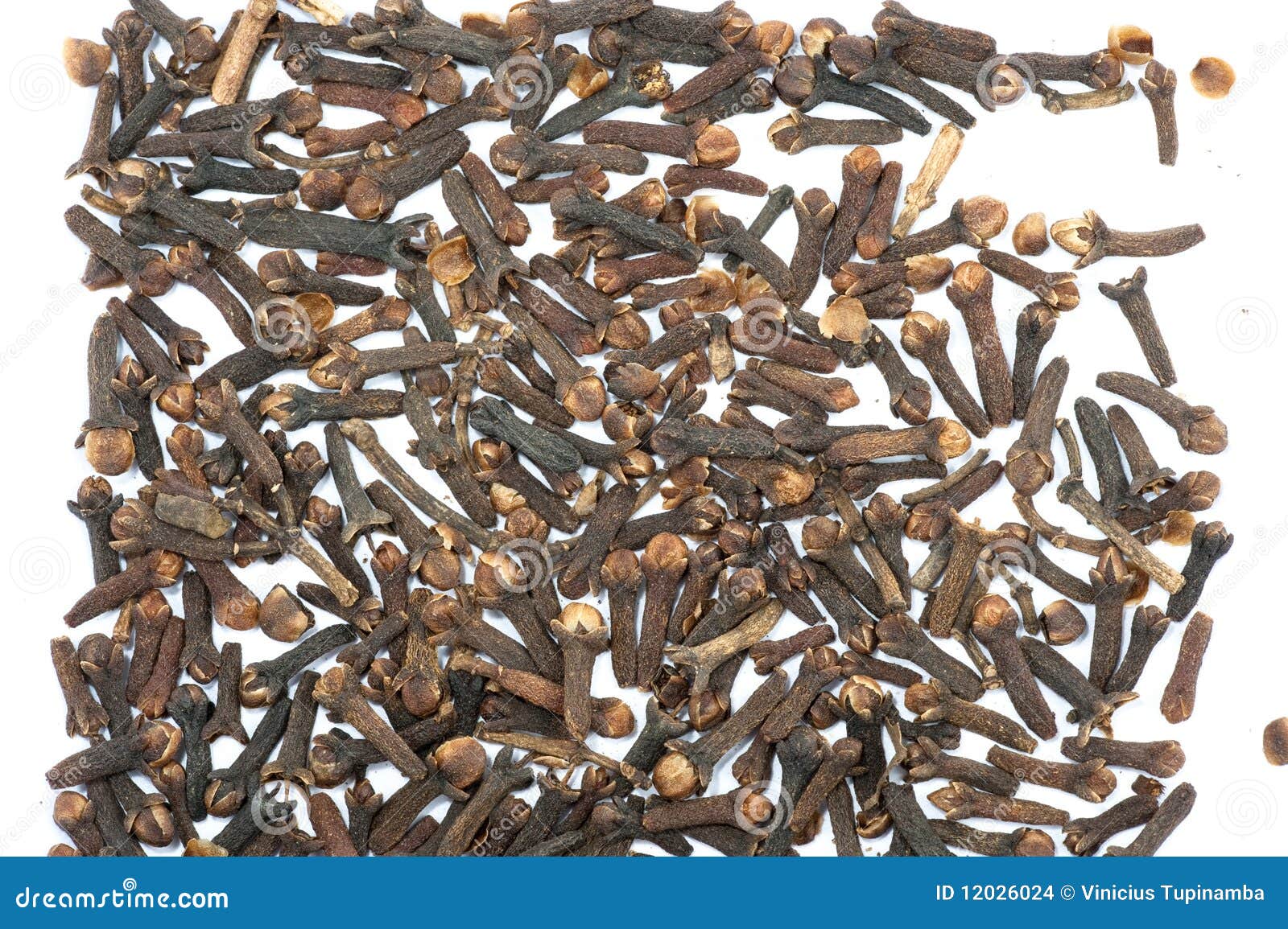 Clove stock photo. Image of ingredient, lots, indian - 12026024