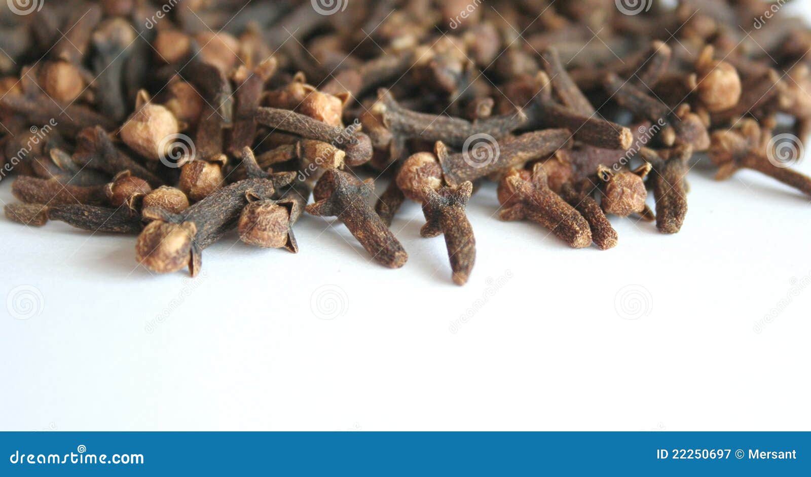 Clove stock image. Image of cloves, fine, fresh, food - 22250697