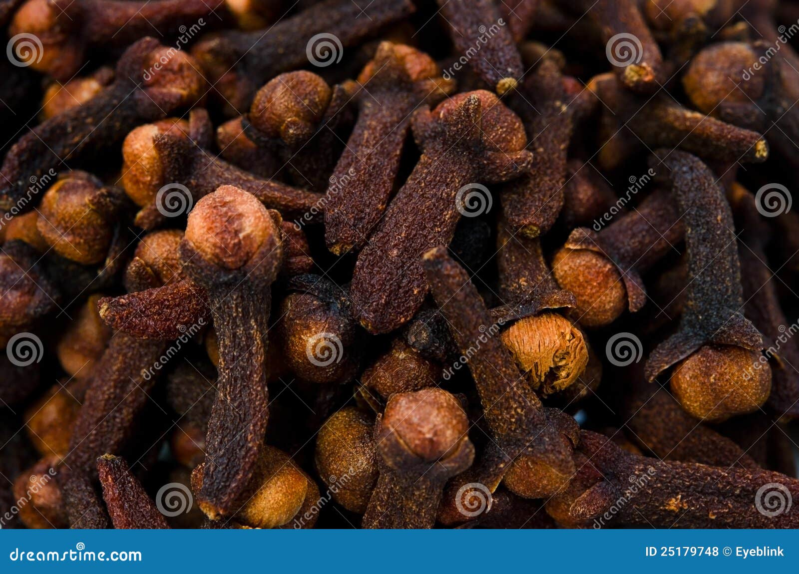 Clove stock photo. Image of vegetable, health, fresh - 25179748