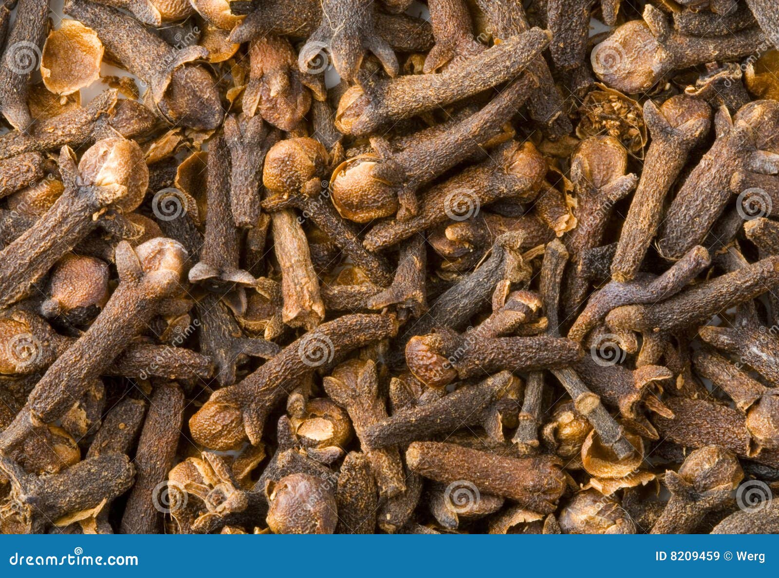 Clove stock image. Image of macro, spicy, rose, background - 8209459