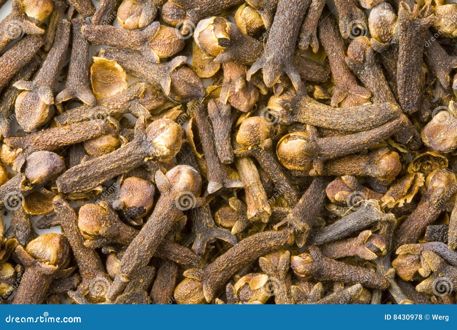 Clove stock photo. Image of background, spicy, gourmet - 8430978