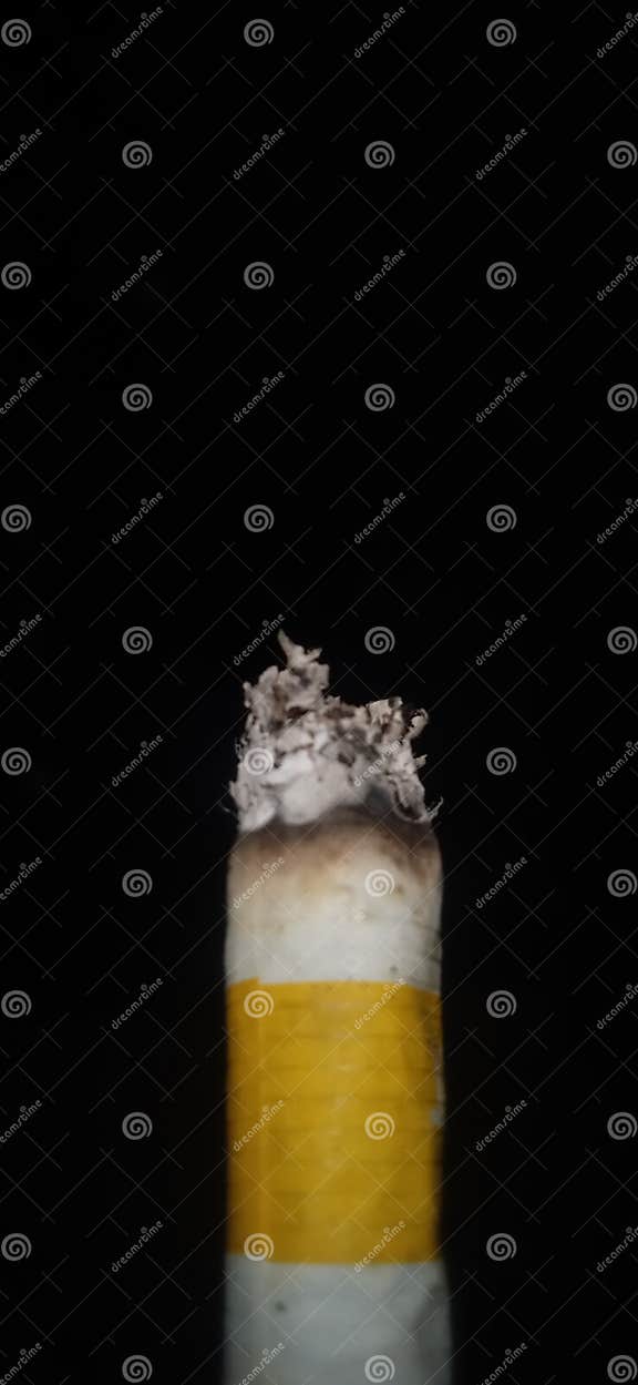 Clove cigarettes at night stock photo. Image of cigarettes - 291057298