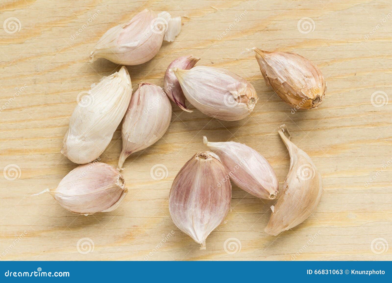 Clove of garlic stock image. Image of block, garlic, ingredient - 66831063