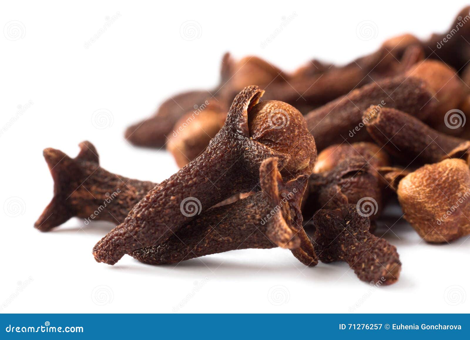 Clove Macro Syzygium Aromaticum Stock Image - Image of flower, aromatic ...