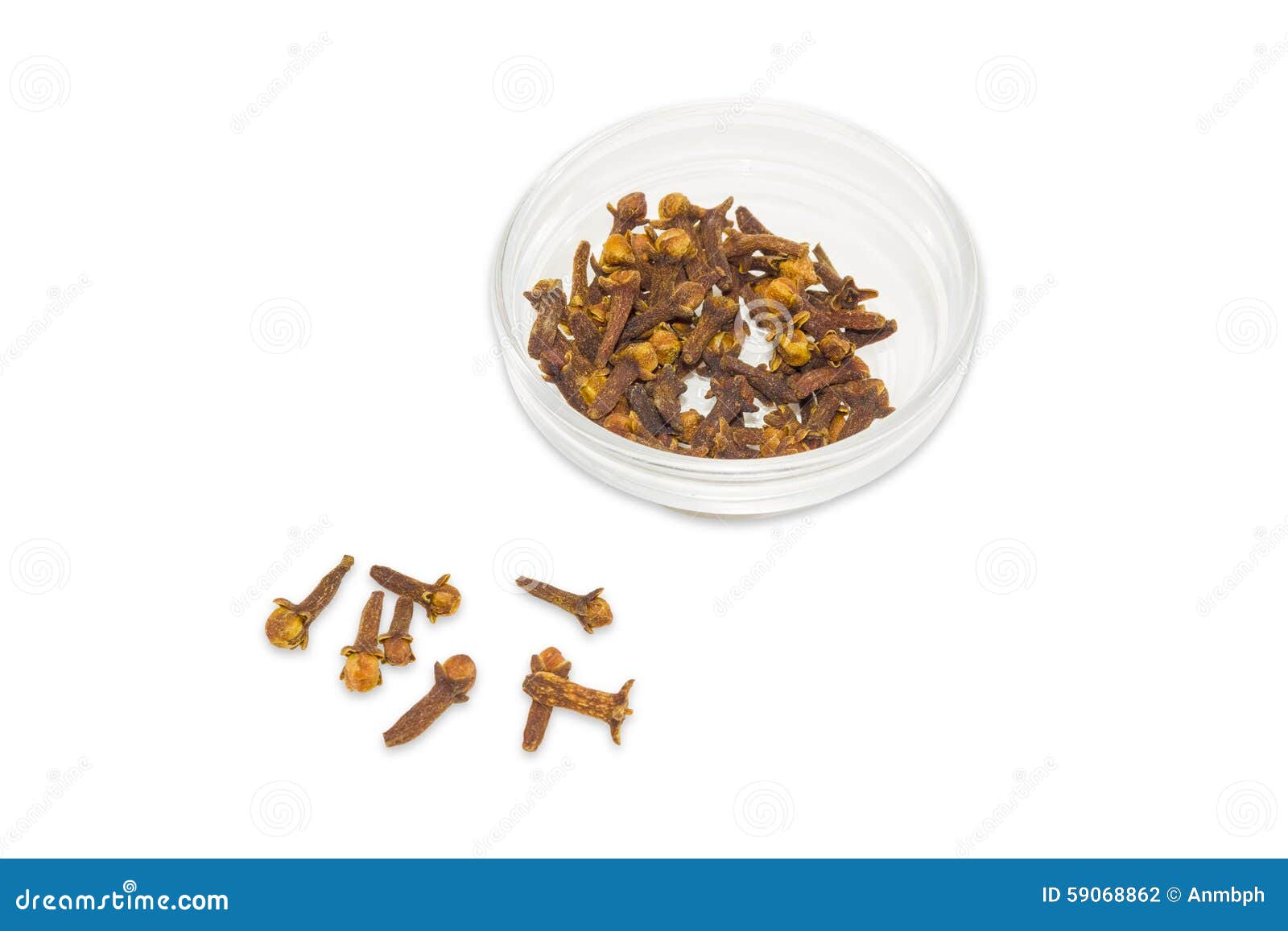 Clove in Small Glass Container and Several Cloves Separately Stock ...