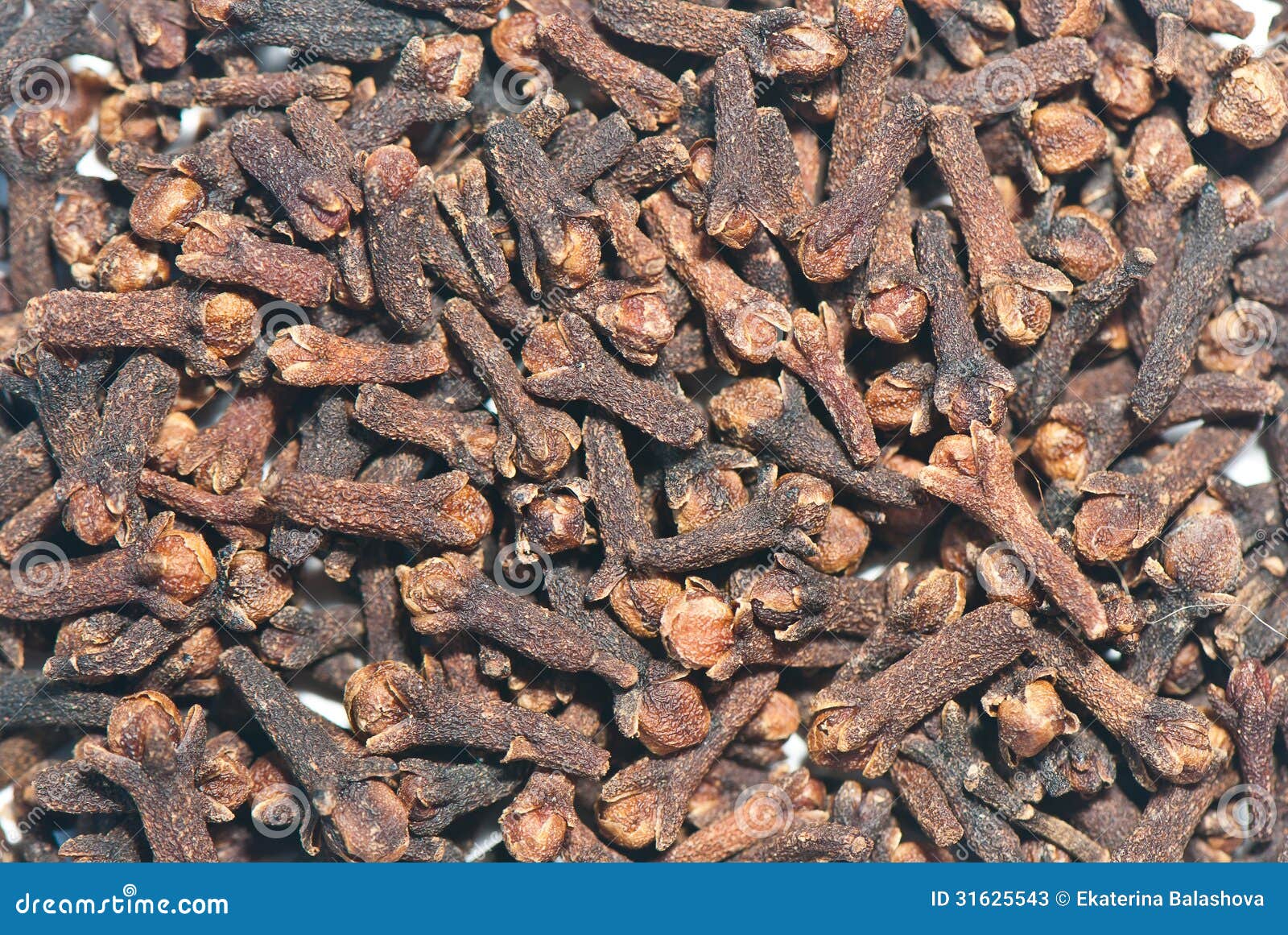 Clove spice stock image. Image of closeup, eating, cooking - 31625543