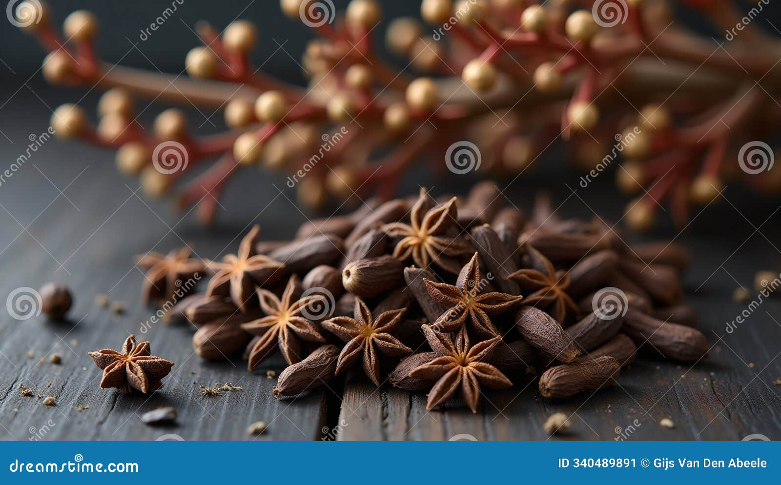 Clove Branch Colored Detailed Illustration. Cartoon Vector ...