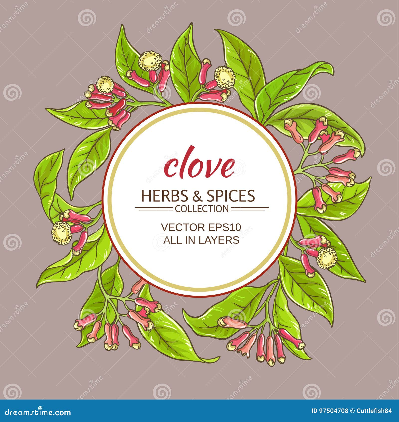 Clove vector frame stock vector. Illustration of clove - 97504708