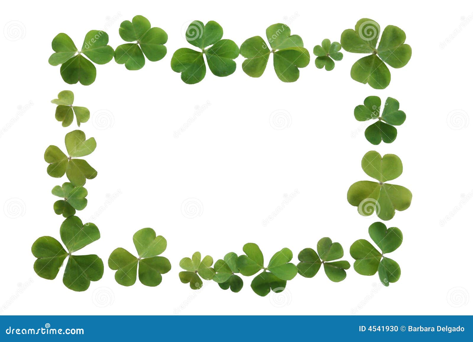 Clover Boarder Or Clover Frame Stock Photo - Image: 4541930