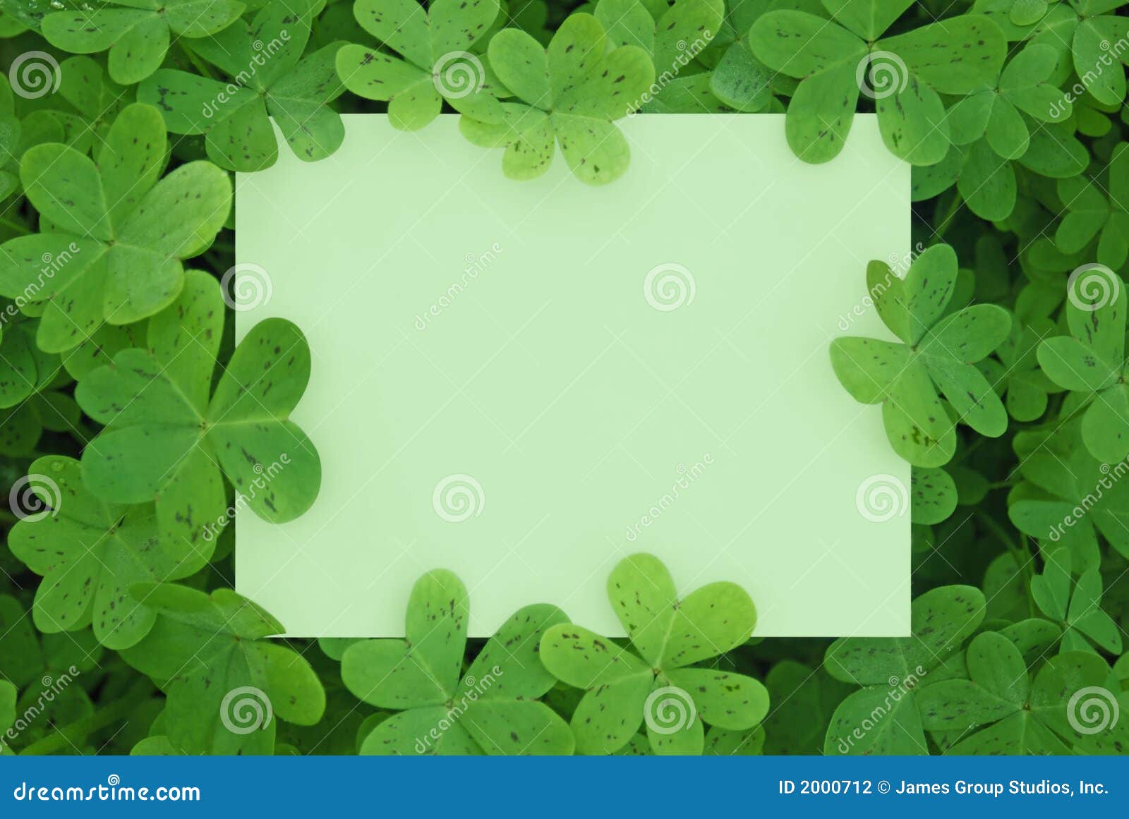 Clover Card stock illustration. Illustration of clover - 2000712