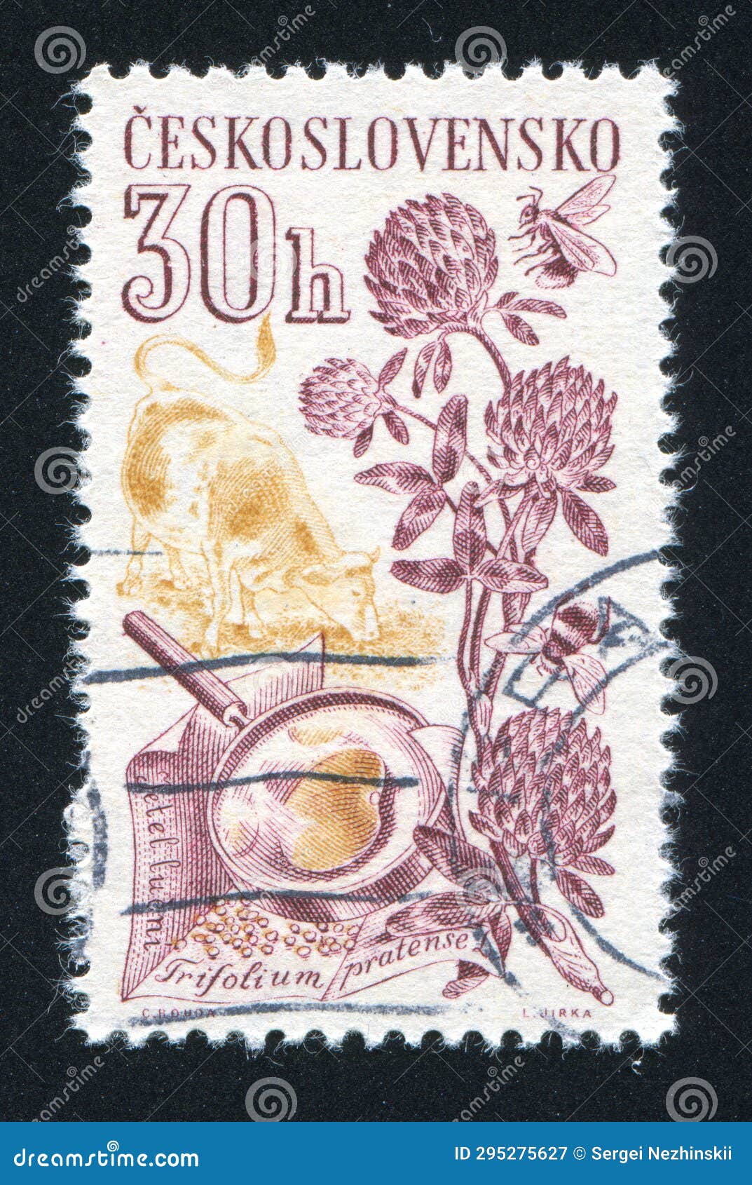 Clover editorial photography. Image of graze, grow, czechoslovakia ...