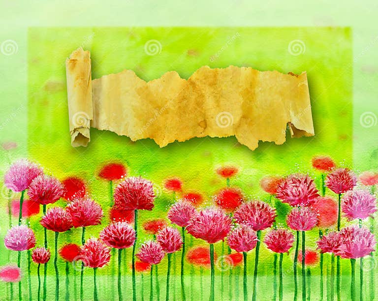 Clover Flowers with Scrolls Stock Illustration - Illustration of field ...