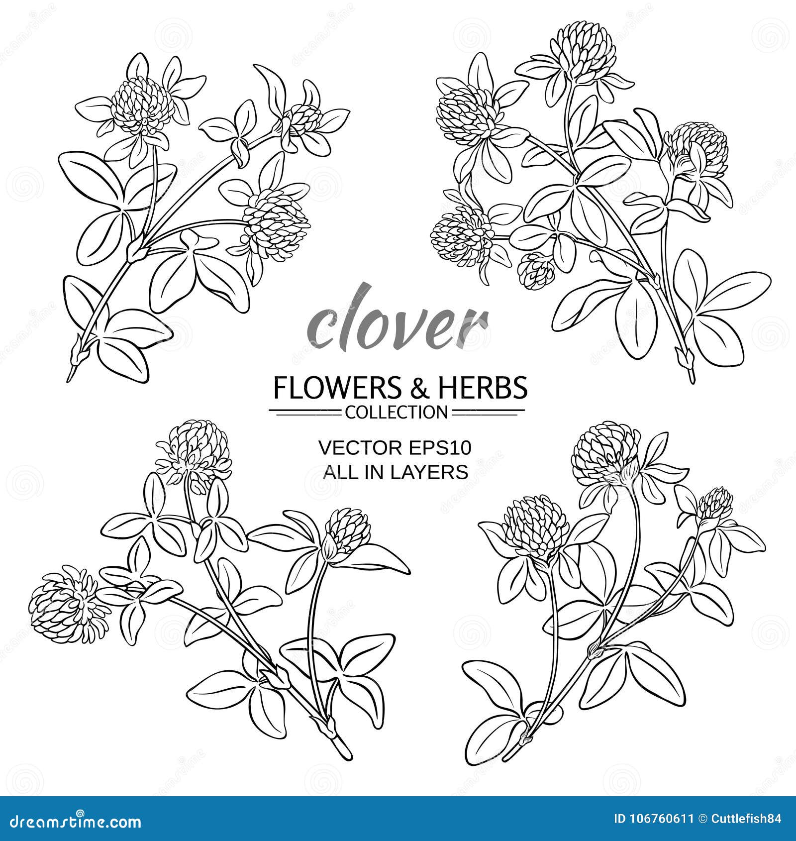 Clover vector set stock vector. Illustration of botanical - 106760611