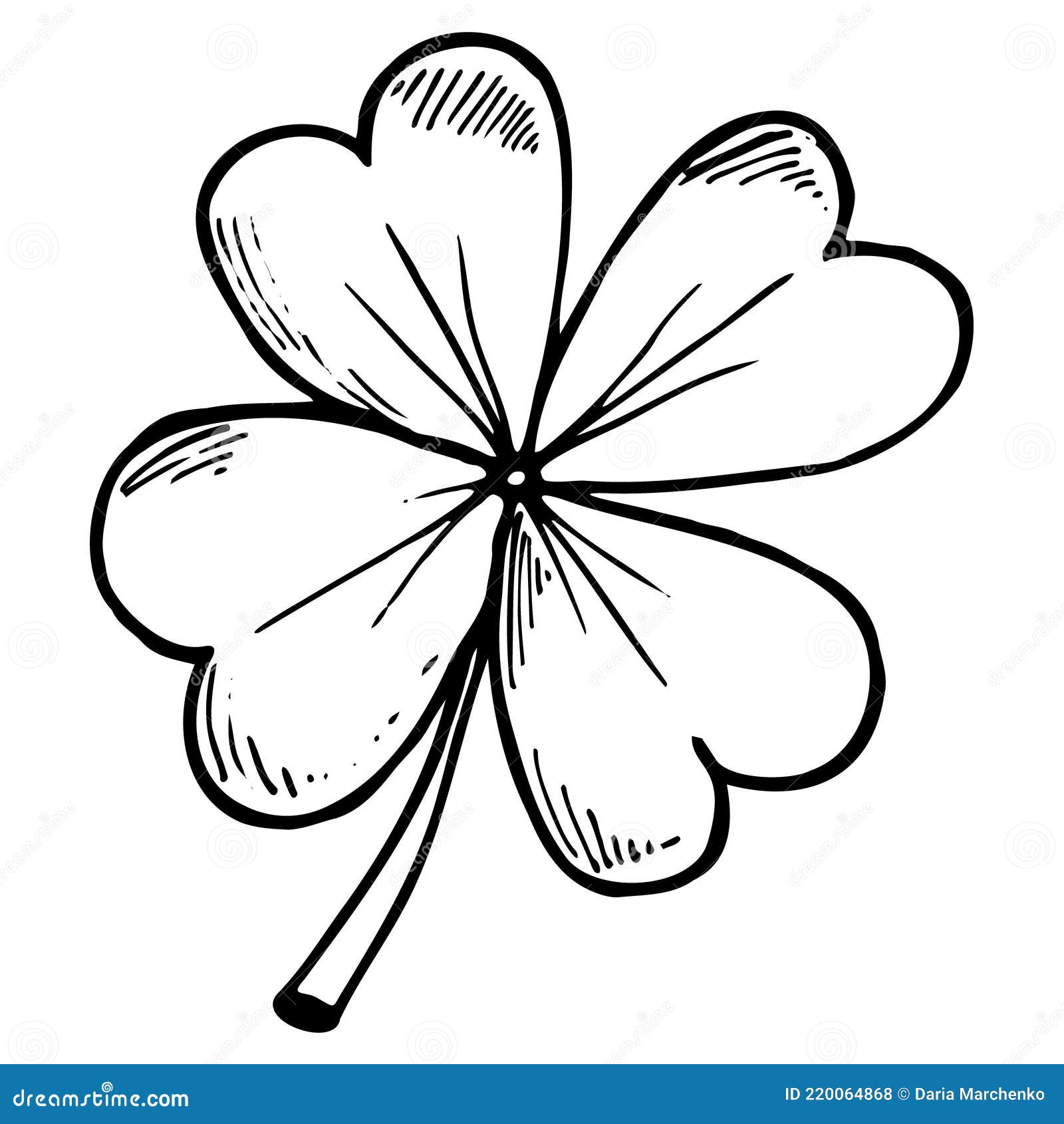 Clover Sketch Illustration. Hand Drawn Four Leaf Clover. Vector ...