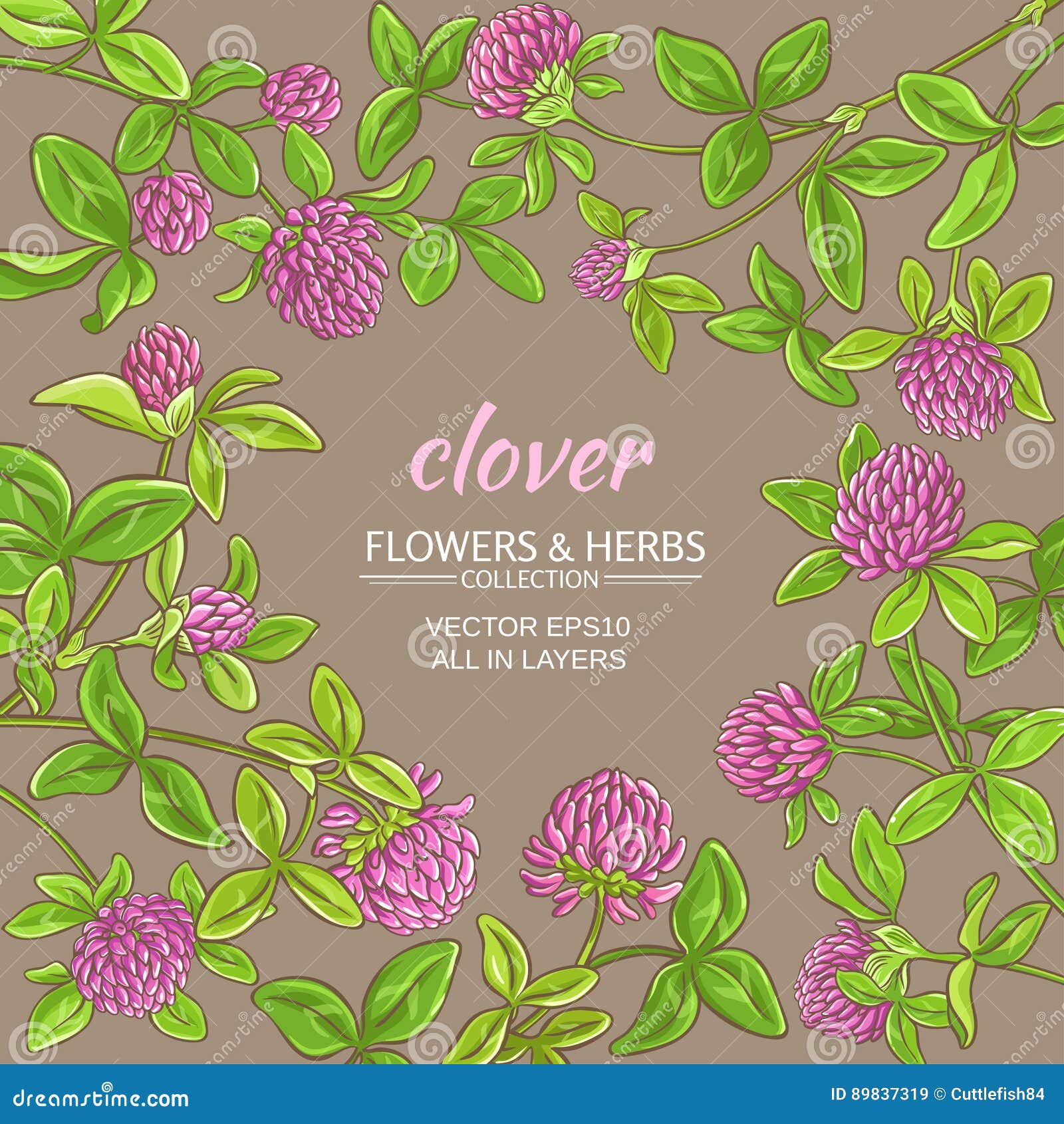 Clover vector frame stock vector. Illustration of flora - 89837319