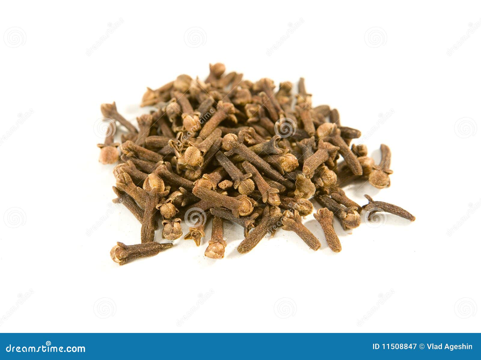 Cloves stock image. Image of herbal, organic, zanzibar - 11508847