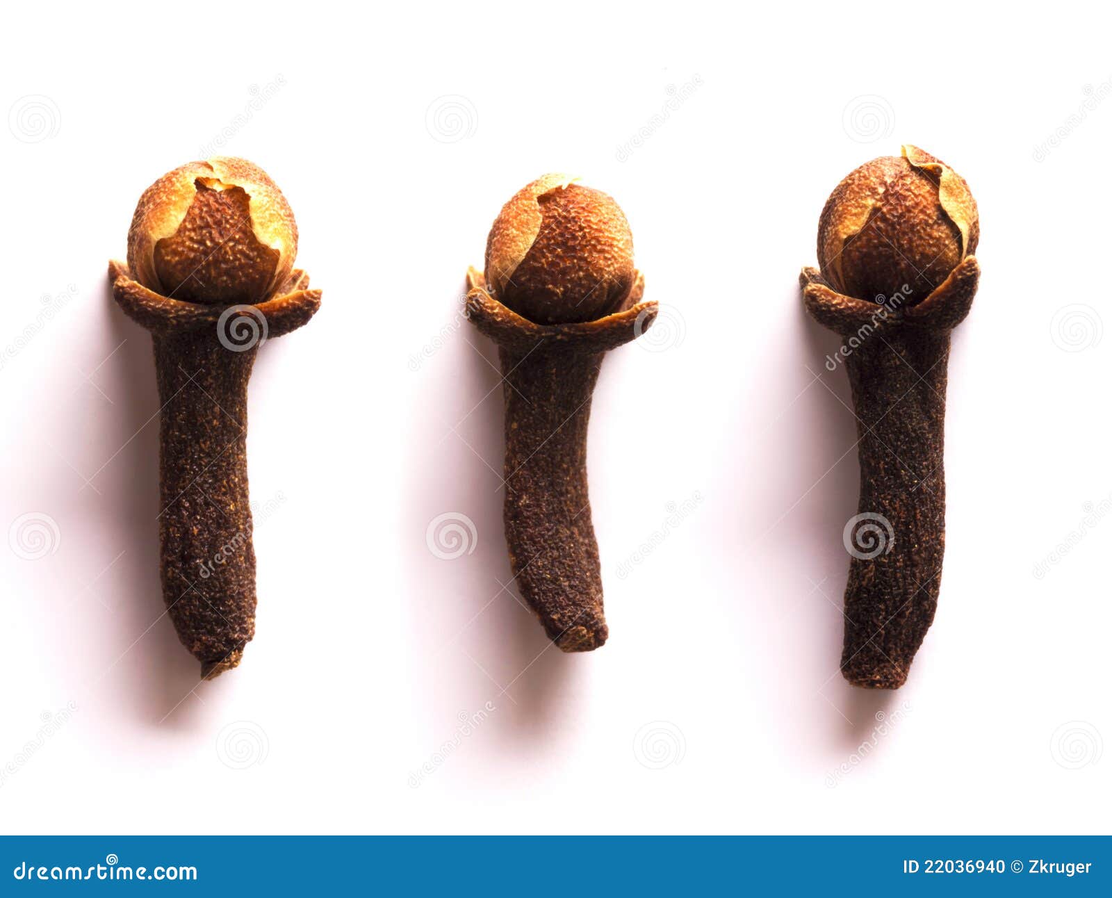 Cloves stock photo. Image of ingredient, condiment, spices - 22036940