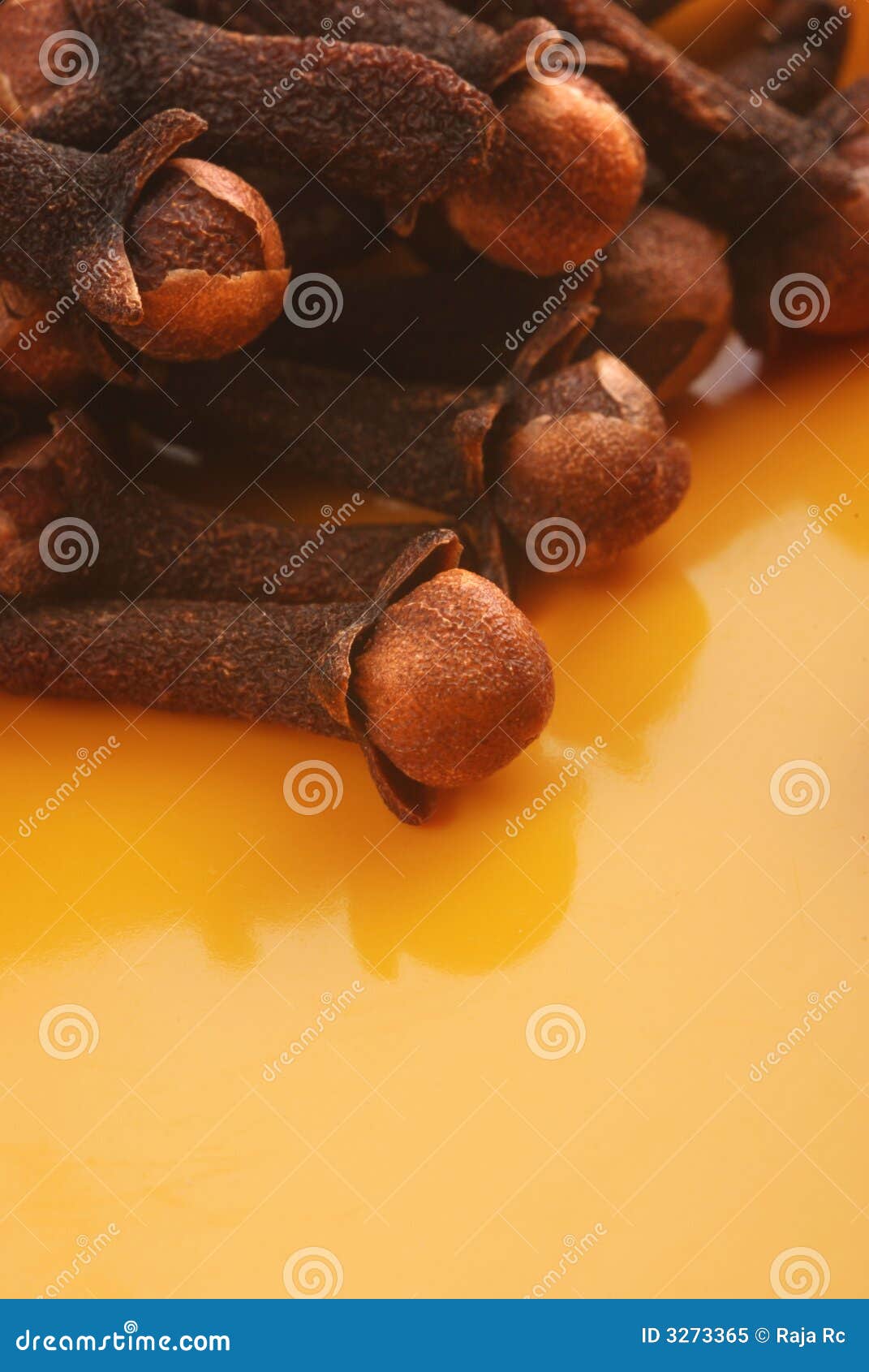 Cloves stock image. Image of tropical, flower, cloves - 3273365