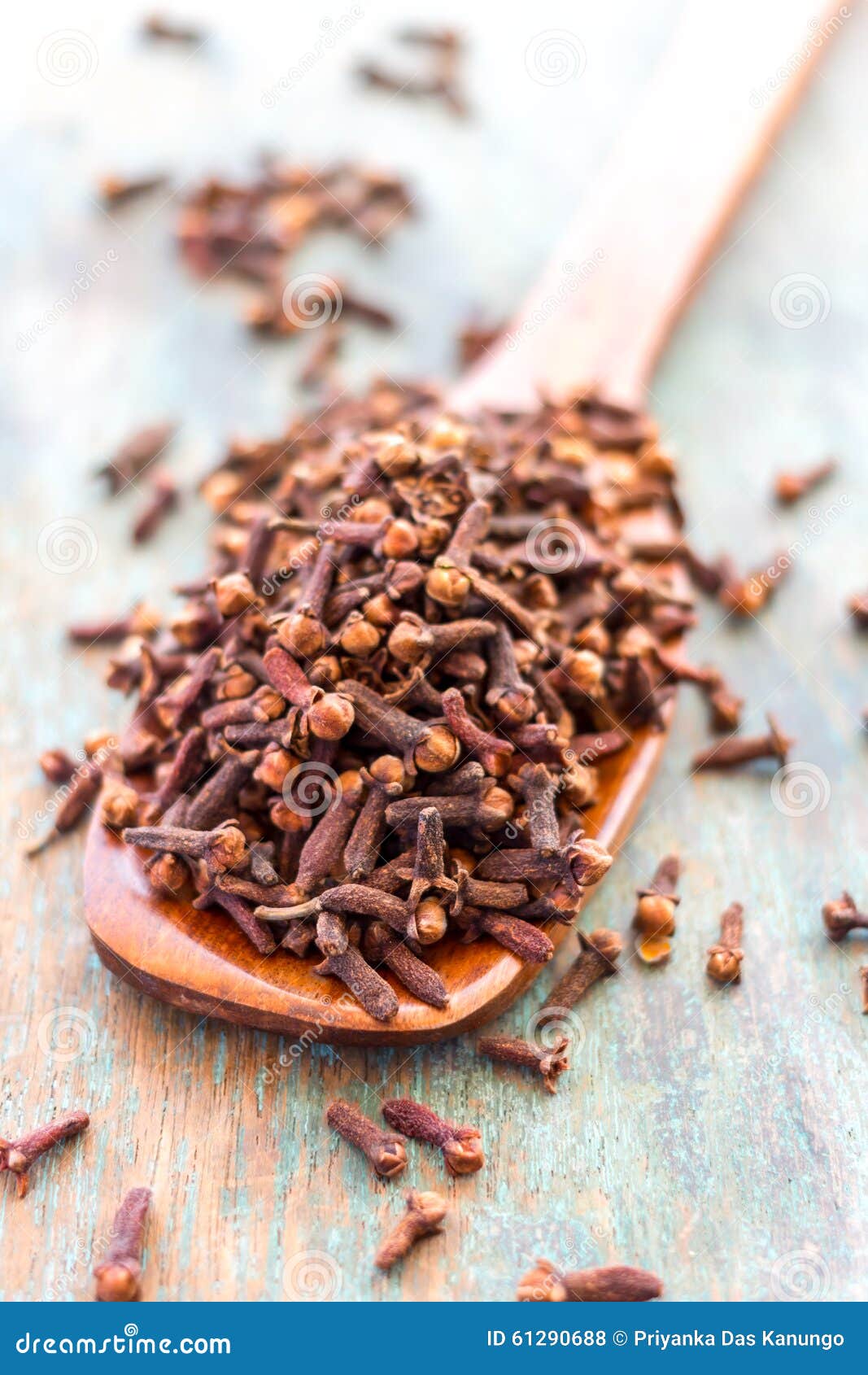 Cloves Closeup stock photo. Image of closeup, clove, macro - 61290688