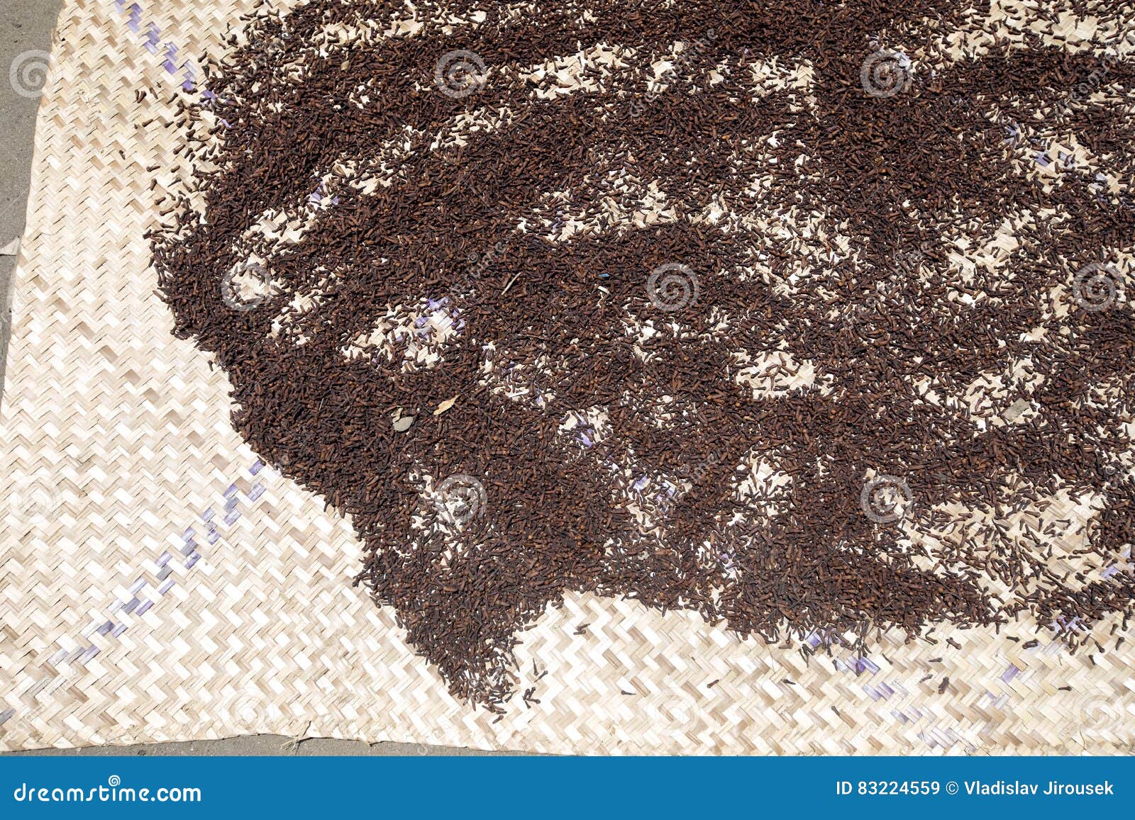 The Cloves Drying in the Sun, Madagascar Stock Image - Image of healthy ...