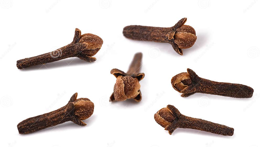 Cloves group stock image. Image of buds, dried, spice - 255334611