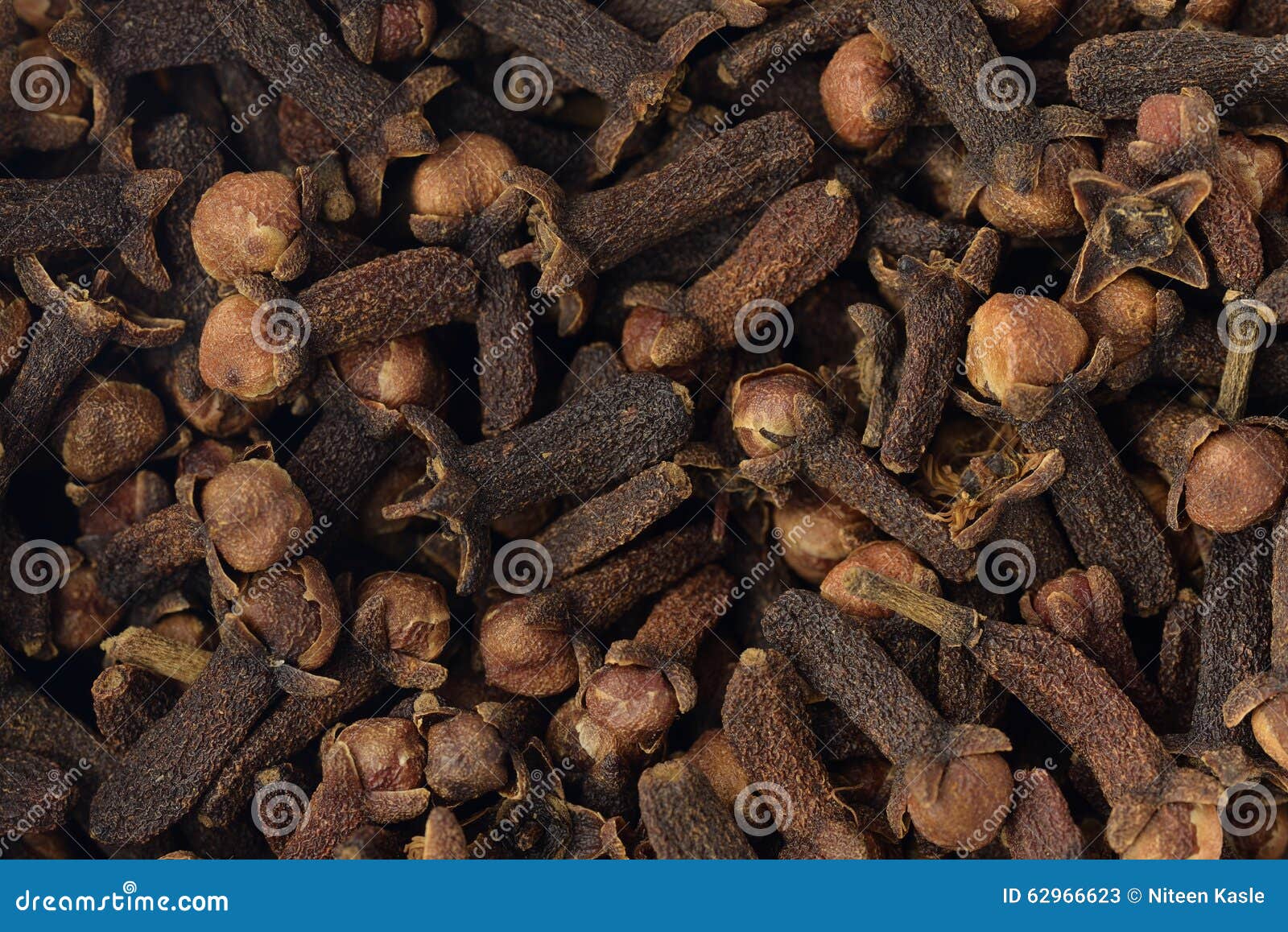 Cloves stock image. Image of isolated, horizontal, objects - 62966623