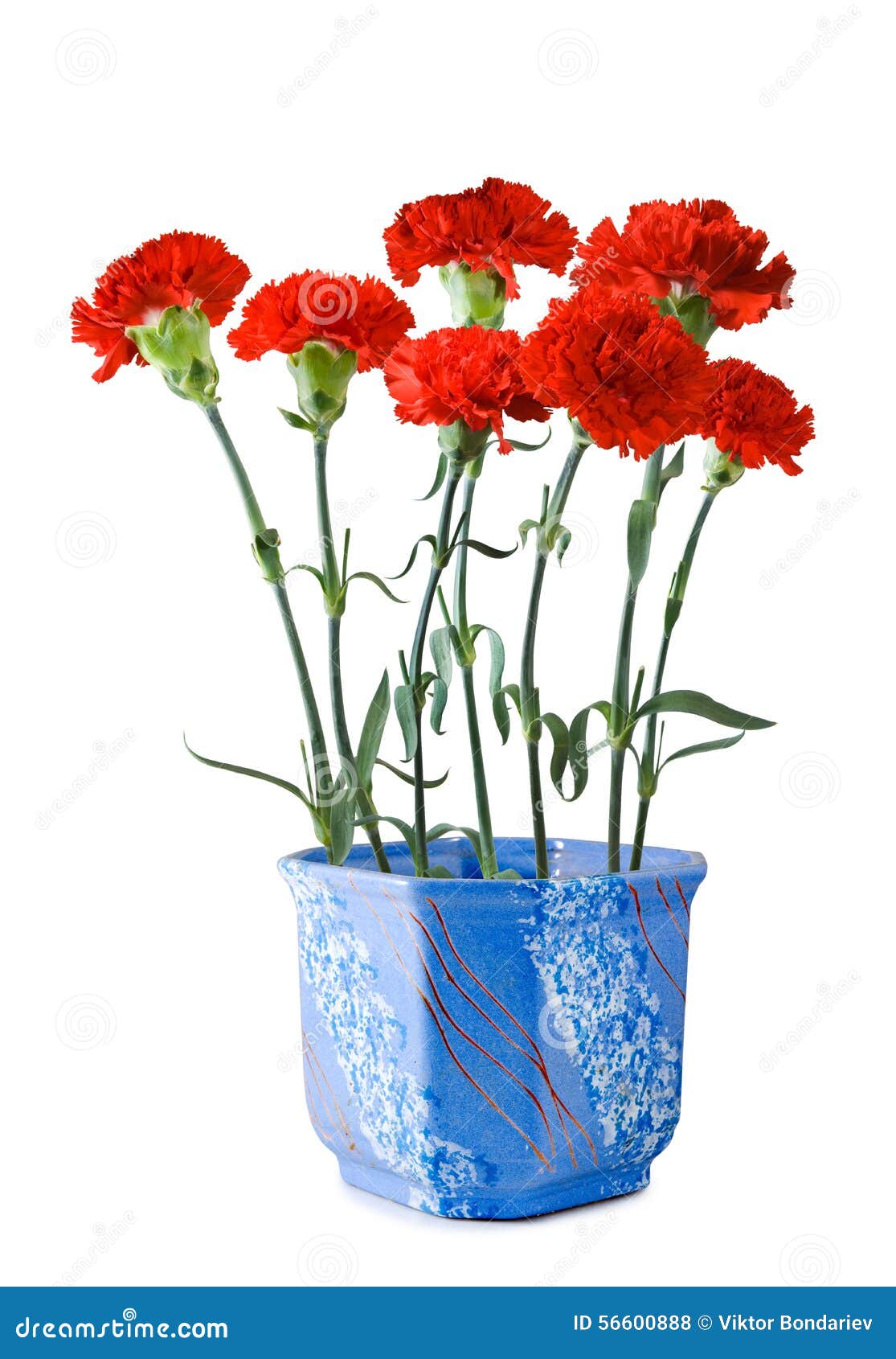 Cloves in a pot stock photo. Image of glass, decoration - 56600888