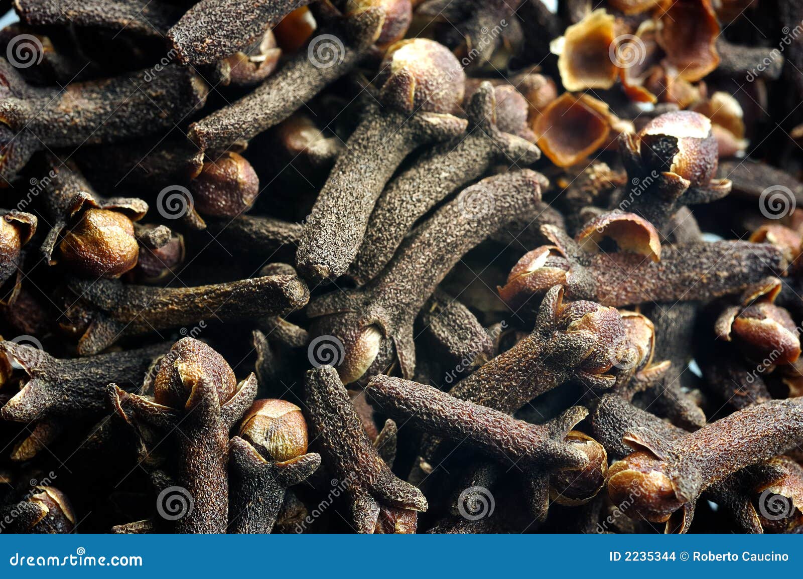Cloves spice stock photo. Image of detail, arab, india - 2235344
