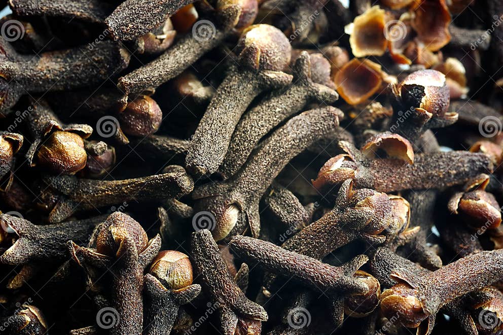 Cloves spice stock photo. Image of detail, arab, india - 2235344