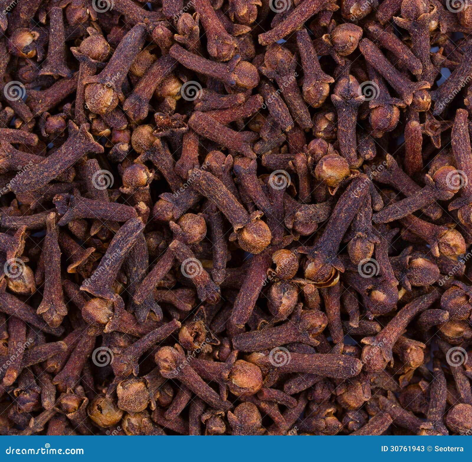 Cloves Texture Background stock image. Image of natural - 30761943