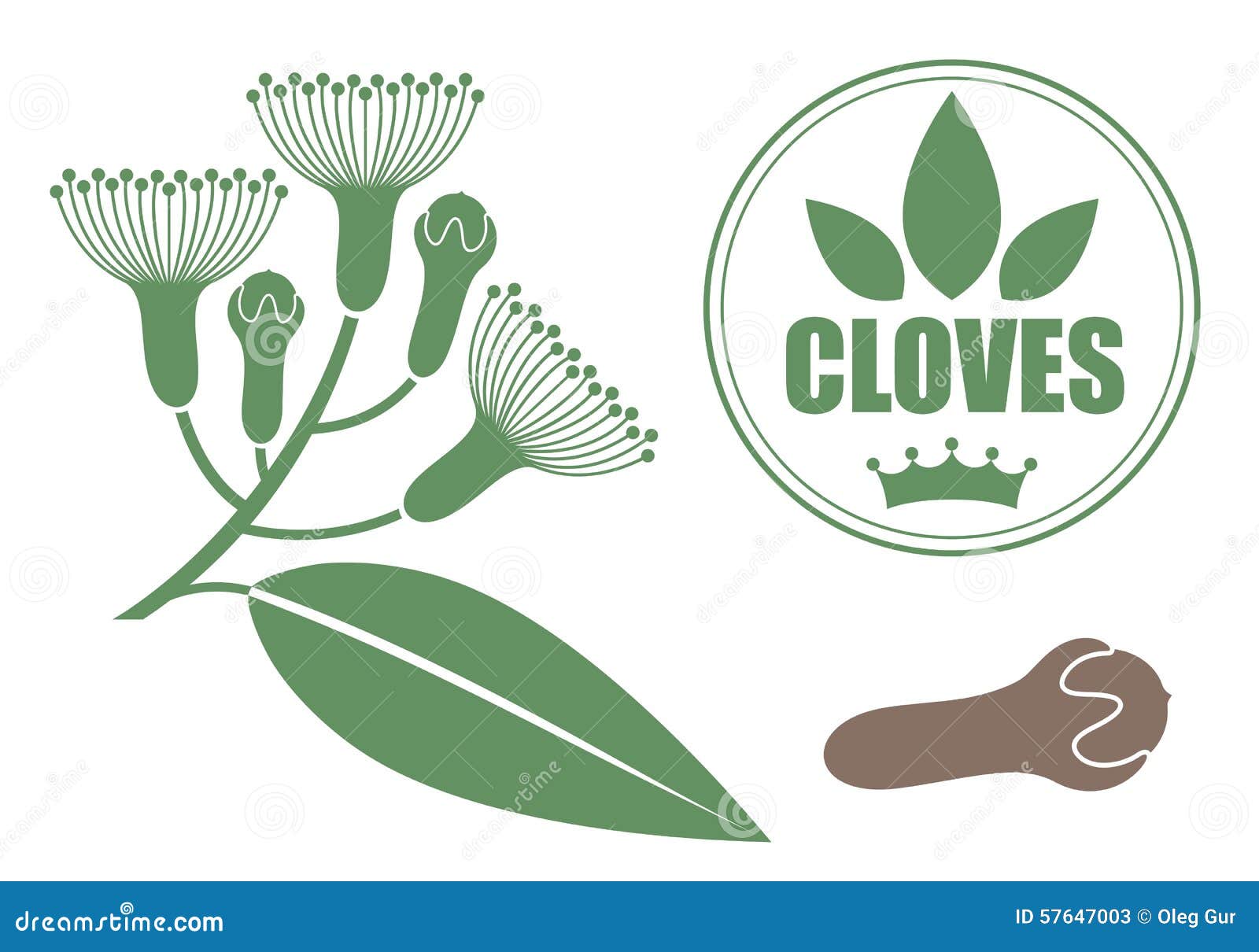 Cloves stock vector. Illustration of green, symbol, india - 57647003