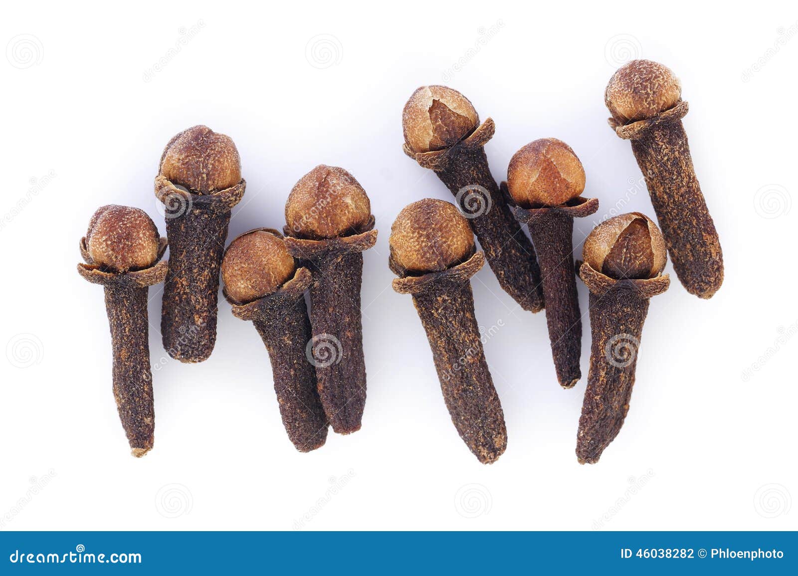 Cloves on white background stock photo. Image of brown - 46038282