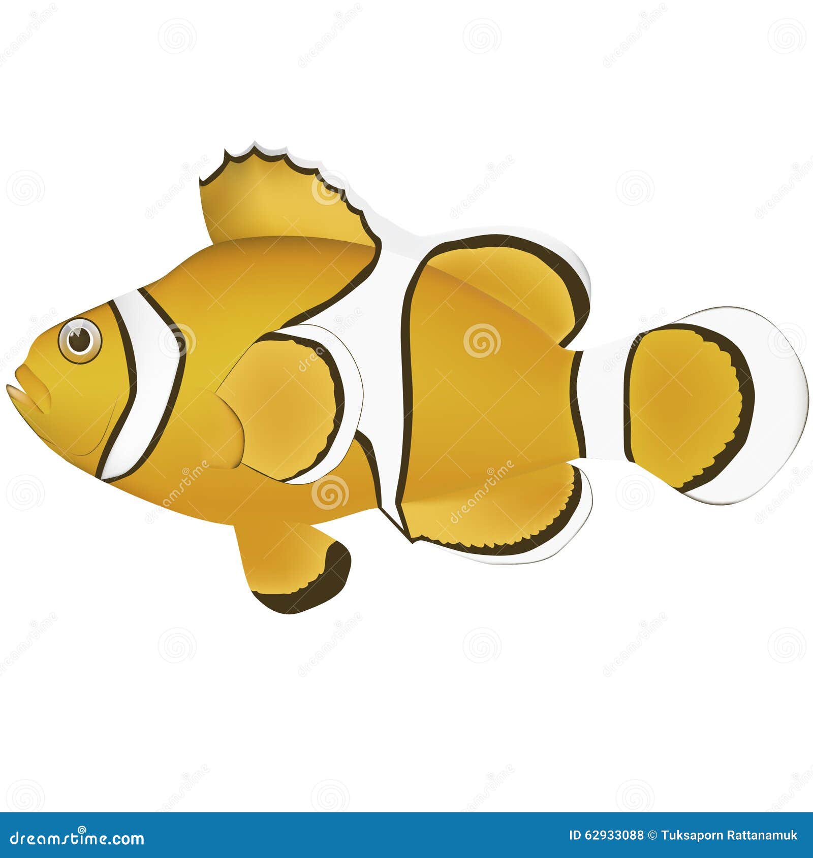 Anemone Fish Isolated On White. Clownfish In Yellow, Black And White ...