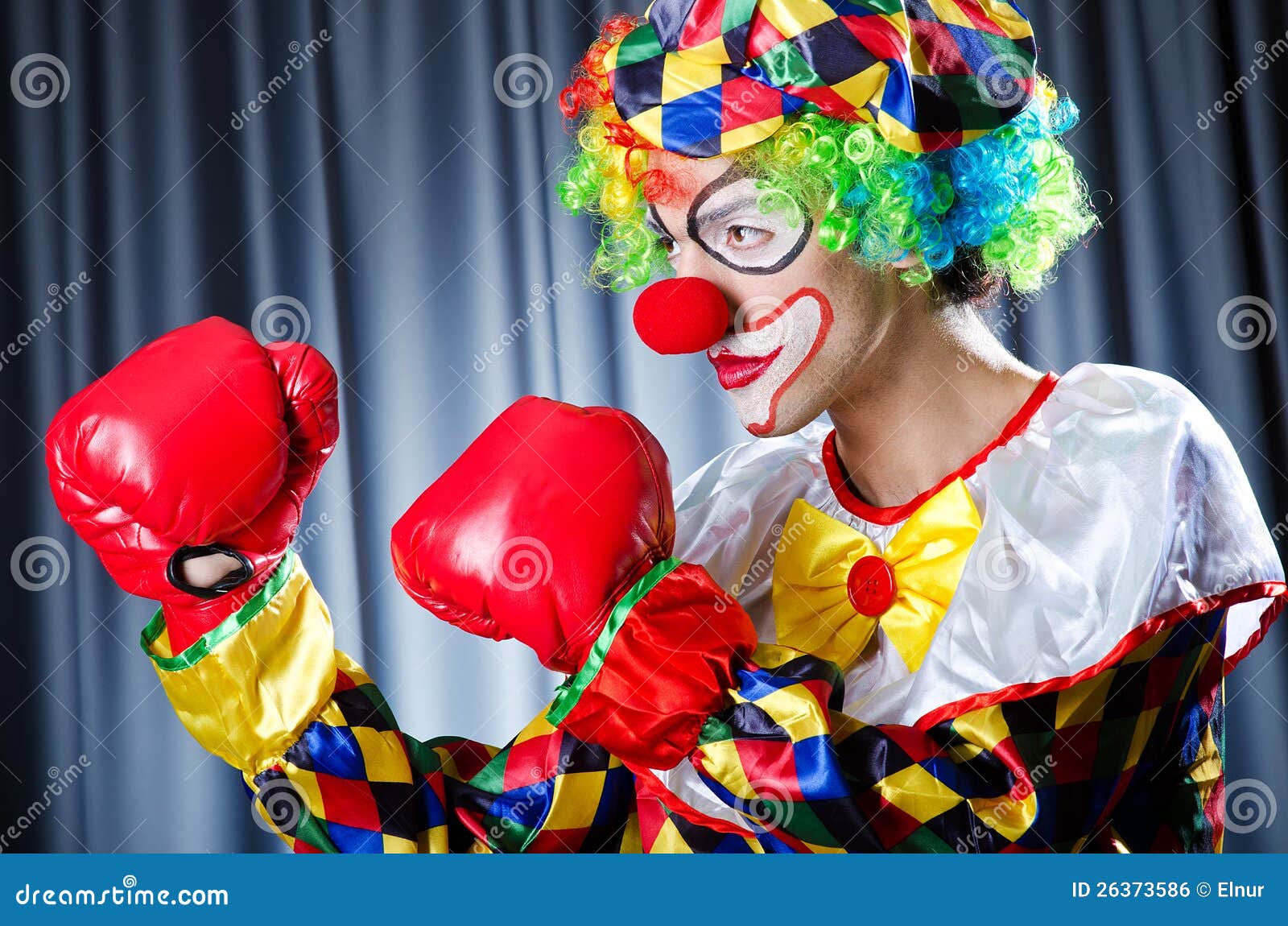 Clown with boxing gloves stock photo. Image of colorful - 26373586