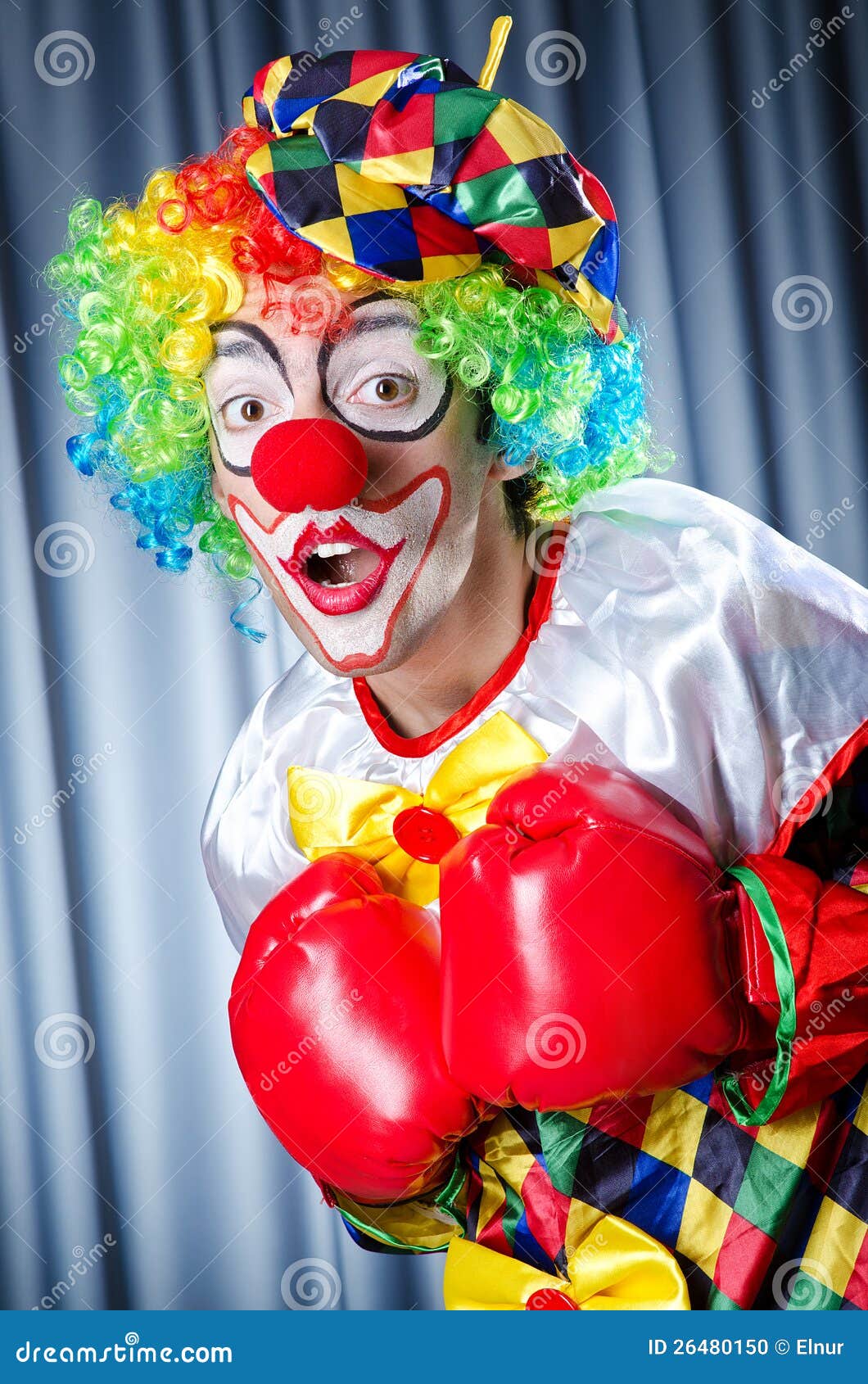Clown with boxing gloves stock photo. Image of boxer - 26480150