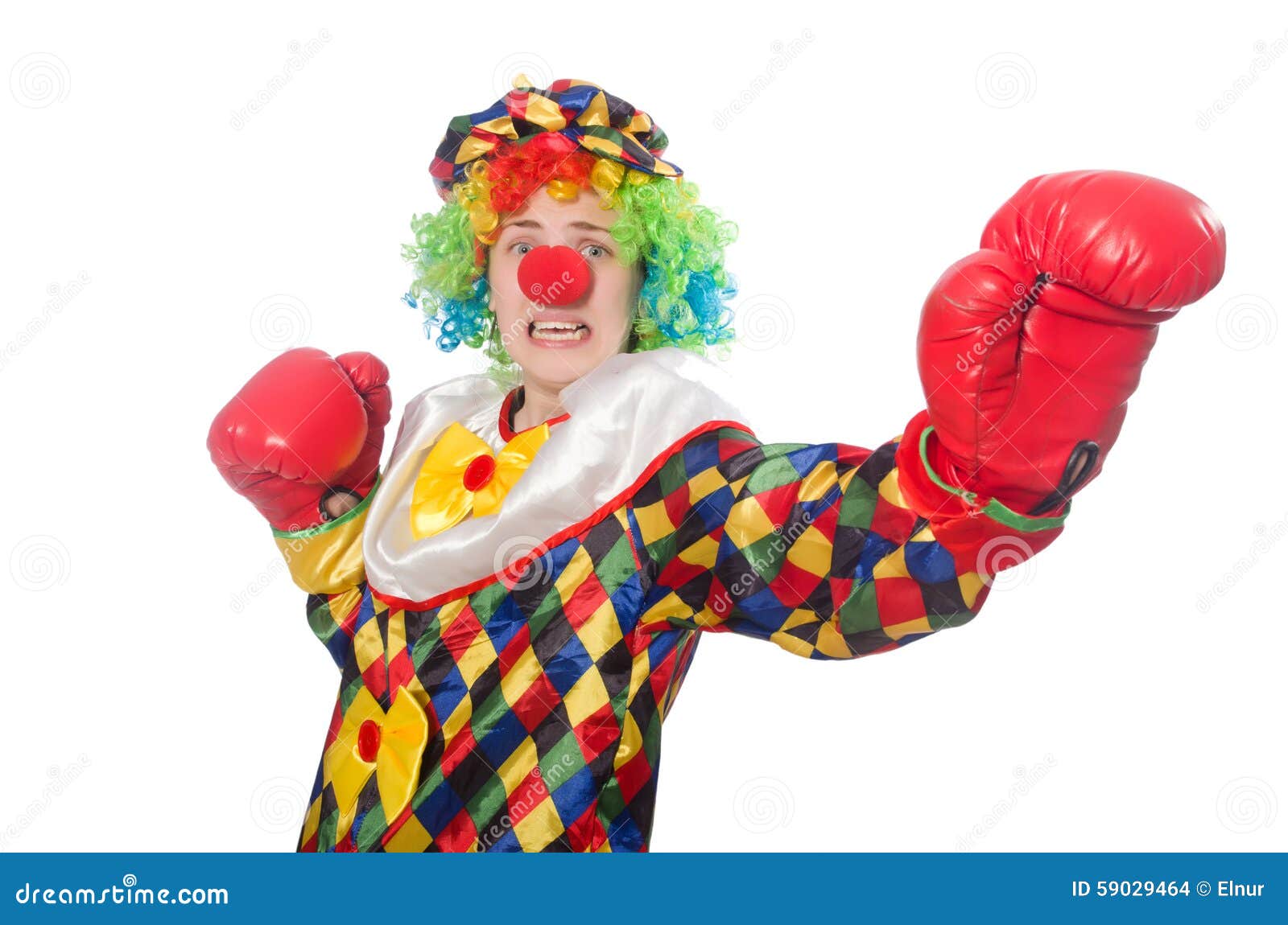 Clown with Boxing Gloves Isolated on White Stock Photo - Image of clown ...