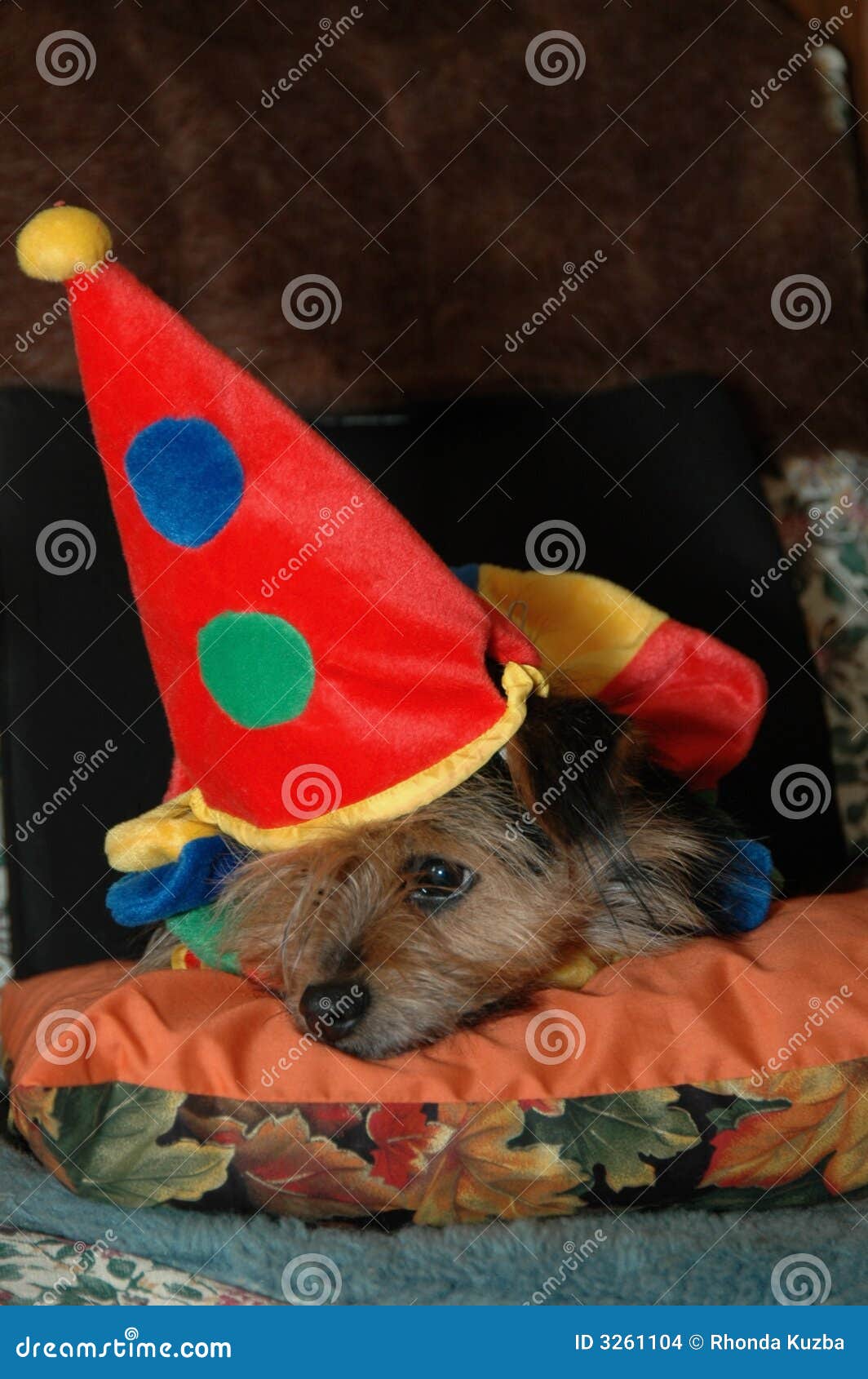 Clown Down Time stock photo. Image of trick, colorful - 3261104