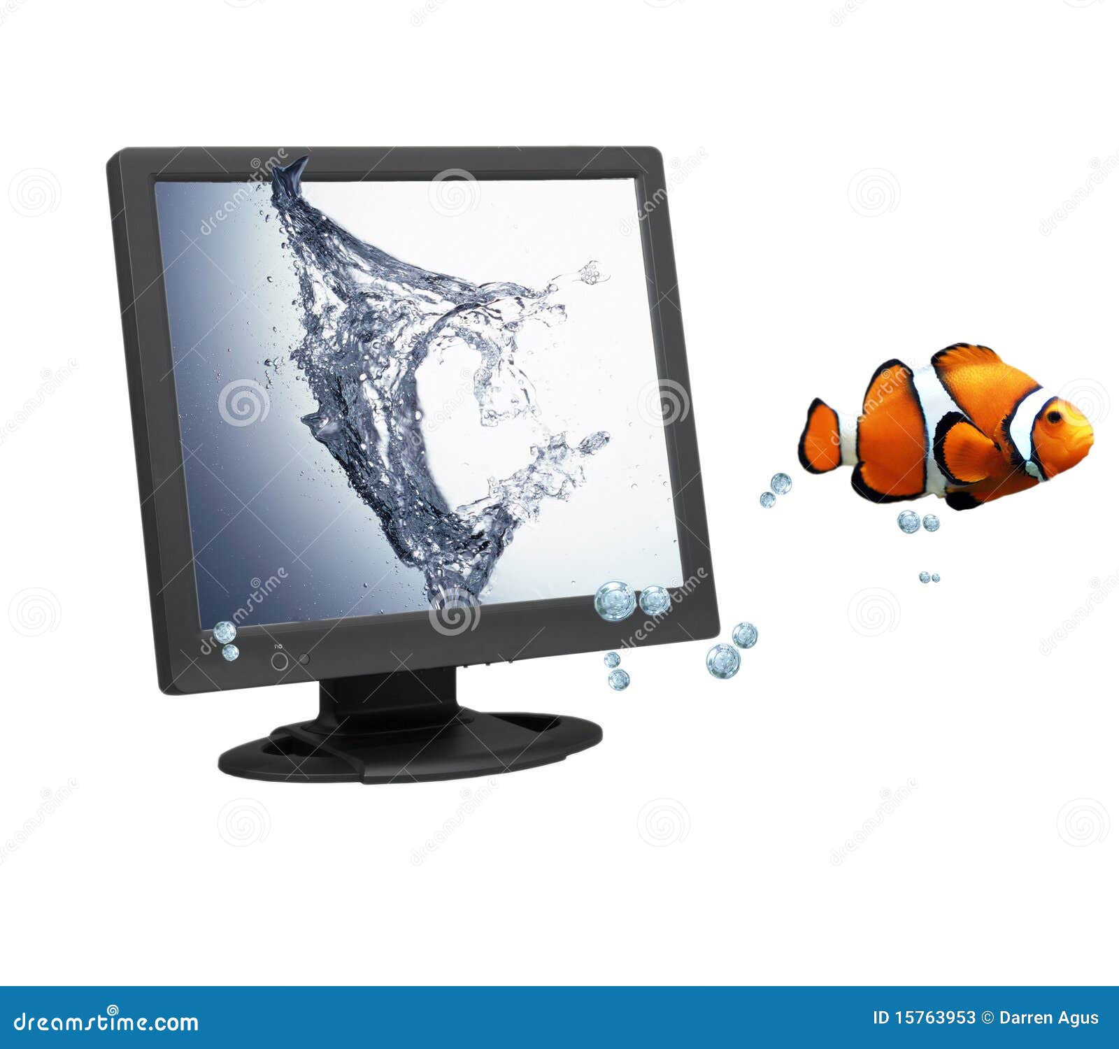 Clown Fish and Computer Monitor Stock Image - Image of fish, drips ...