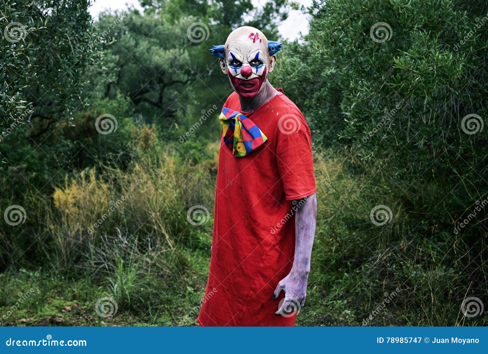 Clown Mauvais Effrayant Dans Les Bois Image stock - Image du tueur ...