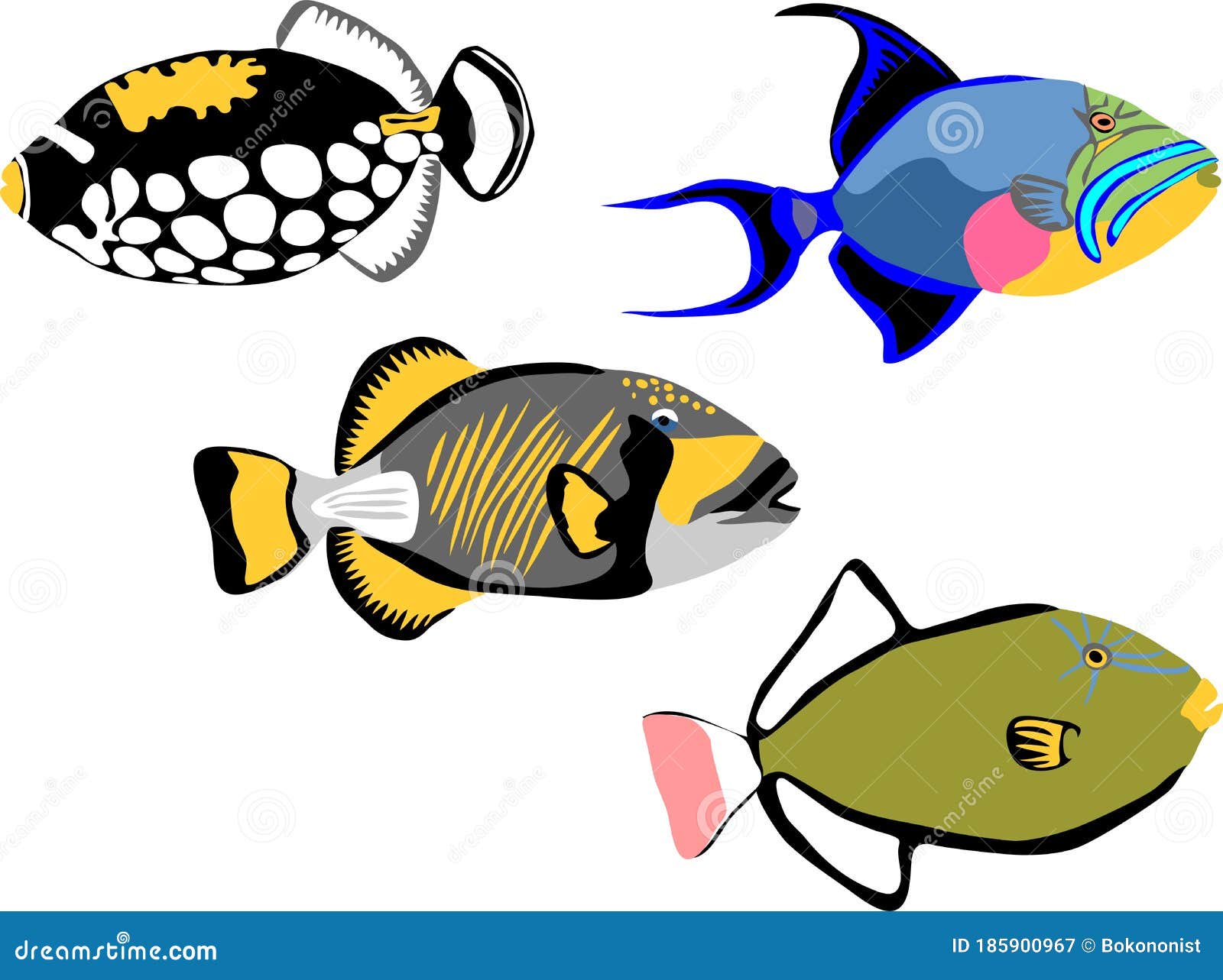 Triggerfish Colour Stock Illustrations – 8 Triggerfish Colour Stock ...