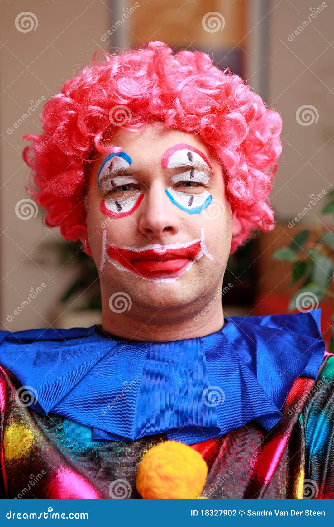 Clowns face in closeup stock photo. Image of happy, collar - 18327902