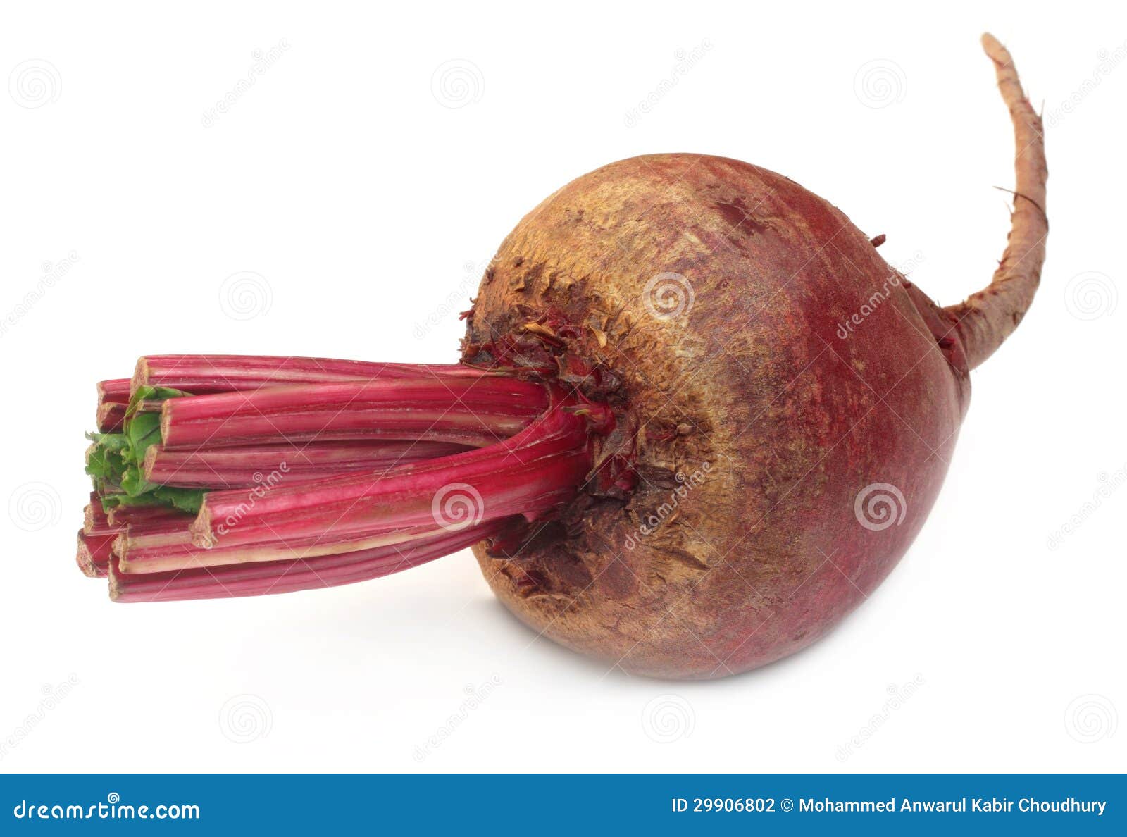 Fresh Beet Over White Background Stock Photo - Image of background ...
