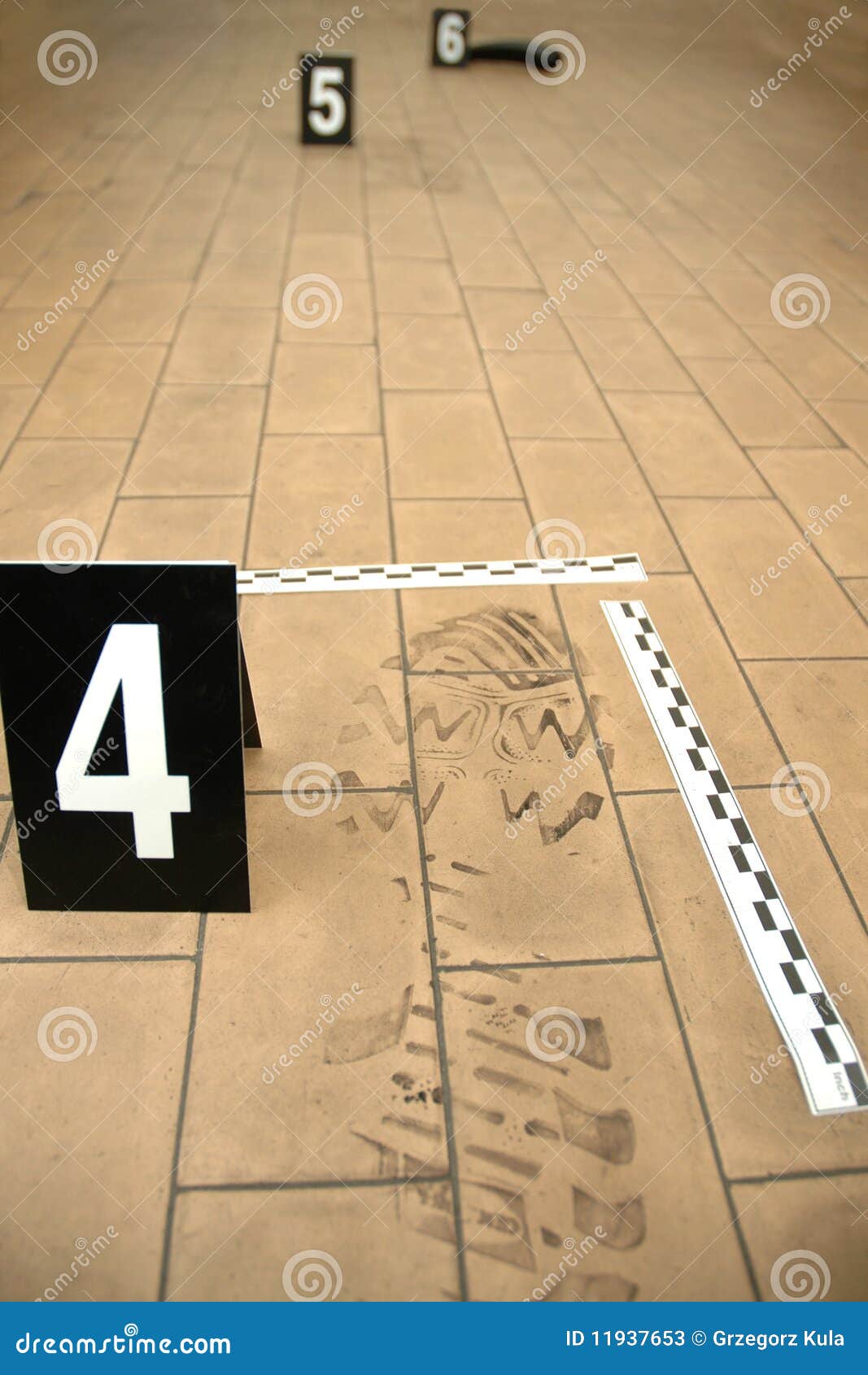Clue stock image. Image of isolated, forensic, footprint - 11937653