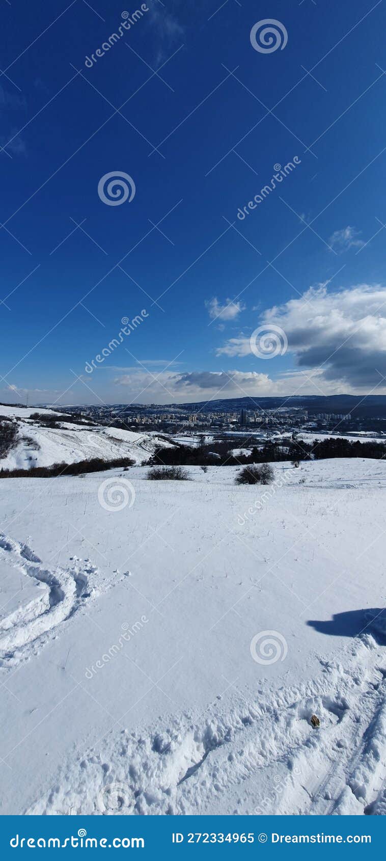 Cluj Napoca Seen from Hoia Baciu Forest in the Winter Stock Image ...
