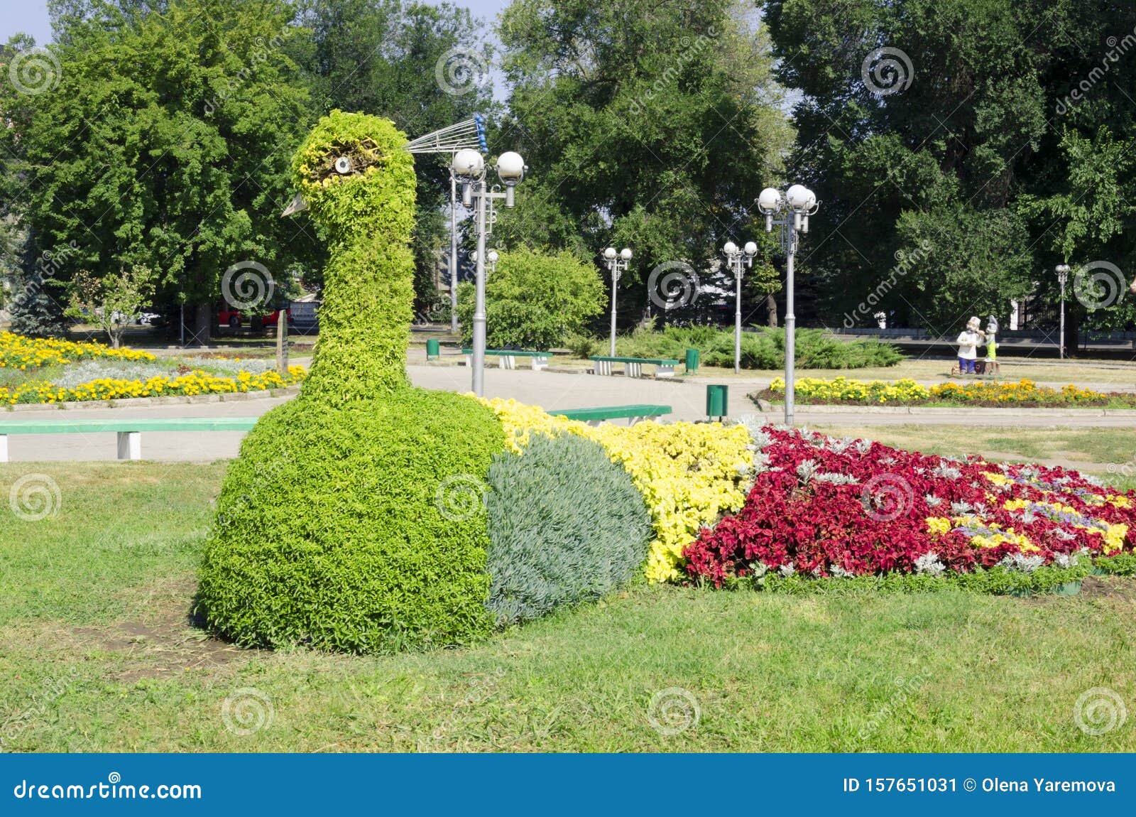 Clumba of Flowers in the Park in the Form of a Peacock Stock Image ...