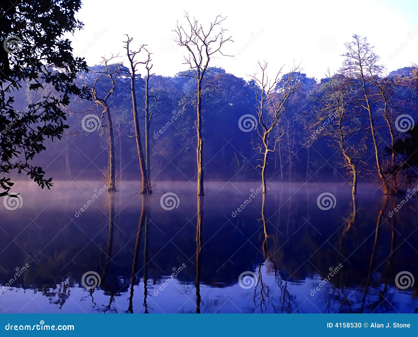 Clumber Lake Evening Mist stock photo. Image of clumber - 4158530