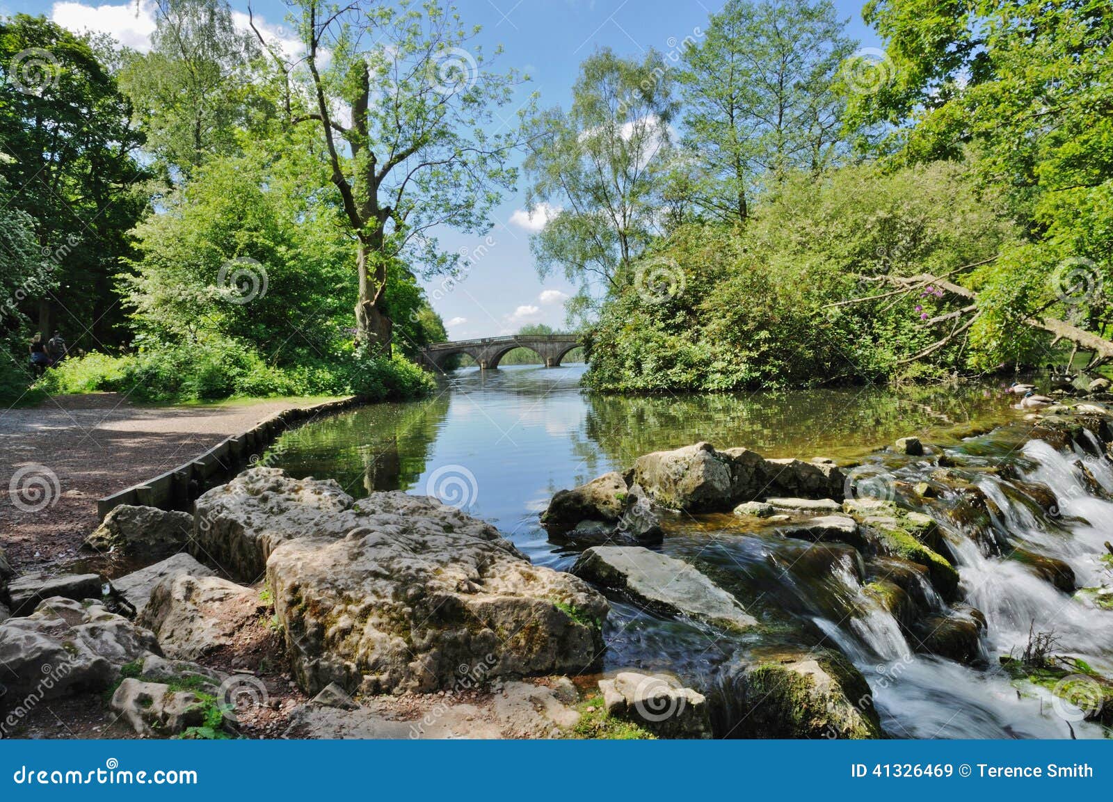 Clumber Park stock image. Image of landscape, trees, view - 41326469