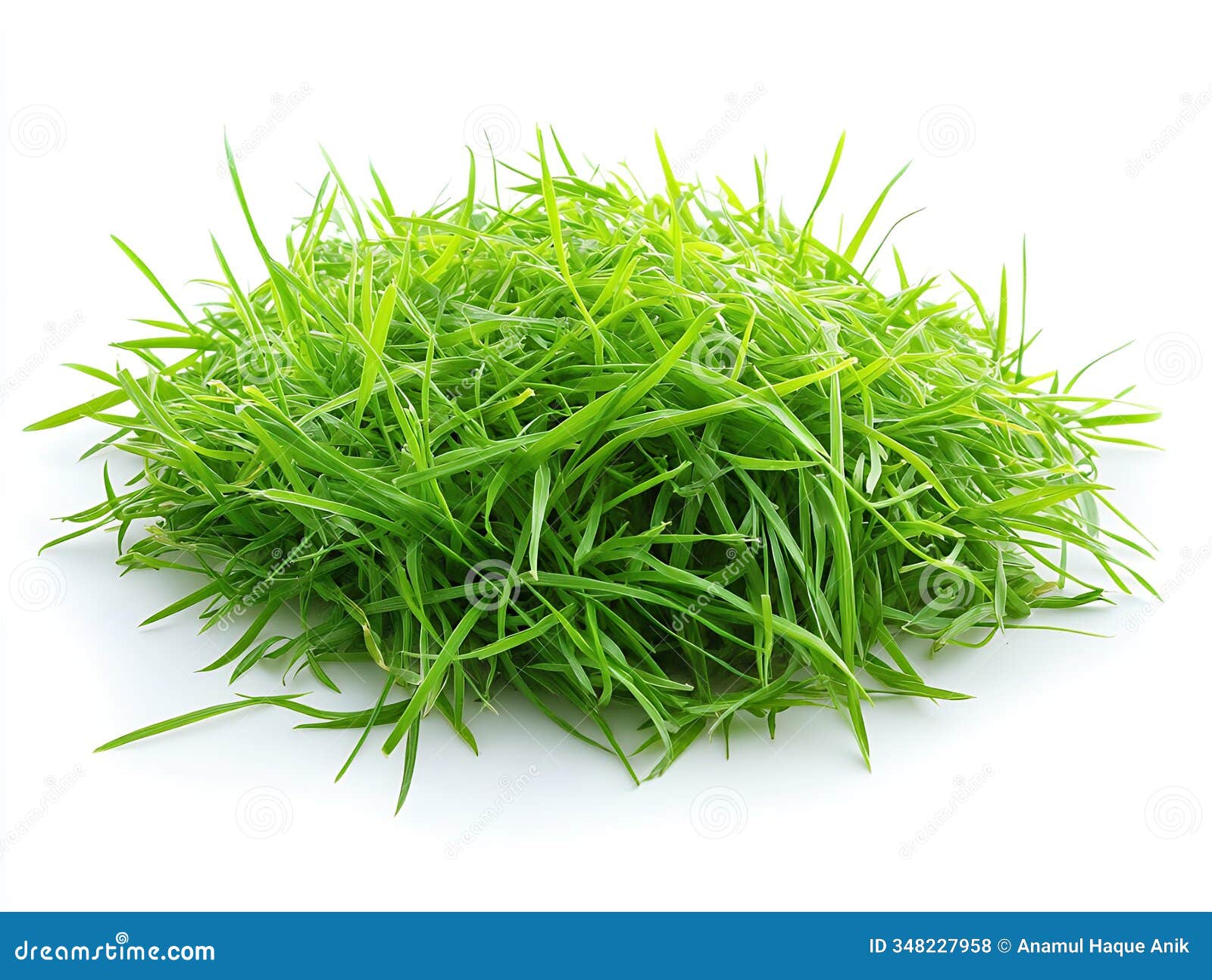 A Clump of Freshly Cut Green Grass Stock Illustration - Illustration of ...