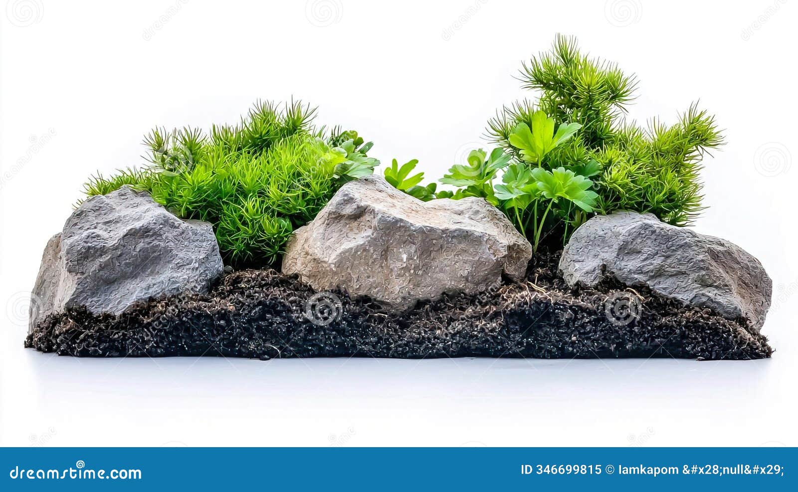 Clump of Green Moss with Soil and a Decorative Stone, Isolated on White ...